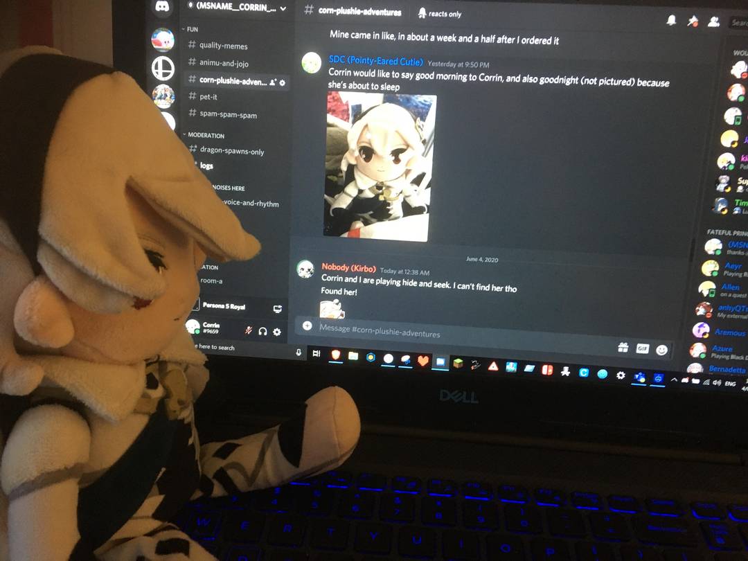 My Corrin Plushie checking out the Corrin Conclave Discord server! | Scrolller