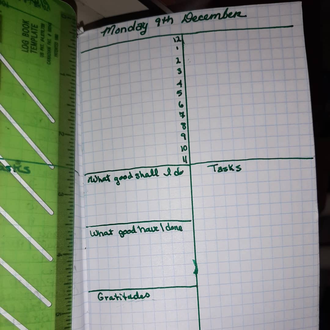 My daily Benjamin Franklin hybrid bujo chart. | Scrolller