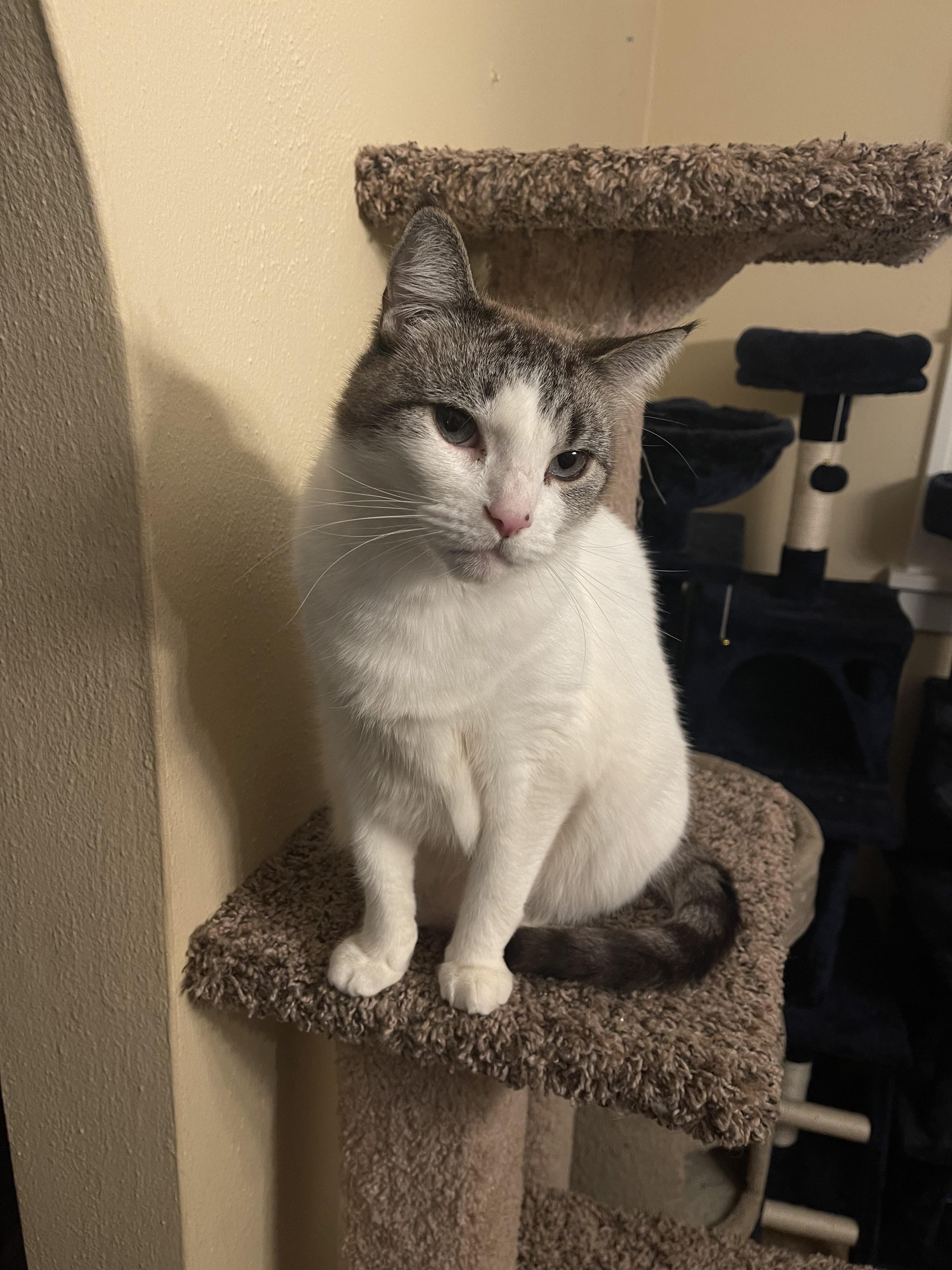 My dapper gentleman | Scrolller