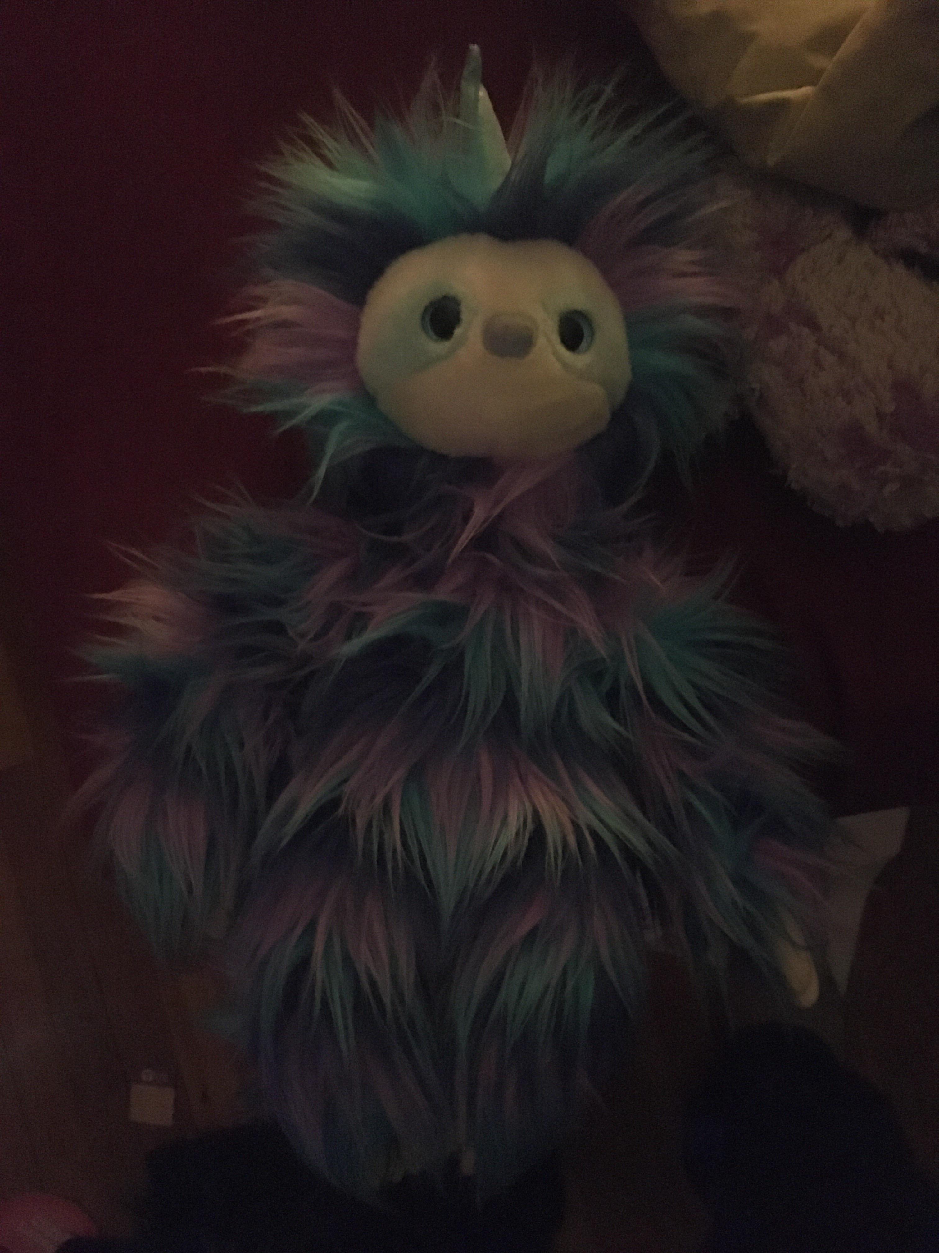 My daughter’s rainbow unicorn sloth stuffy. | Scrolller