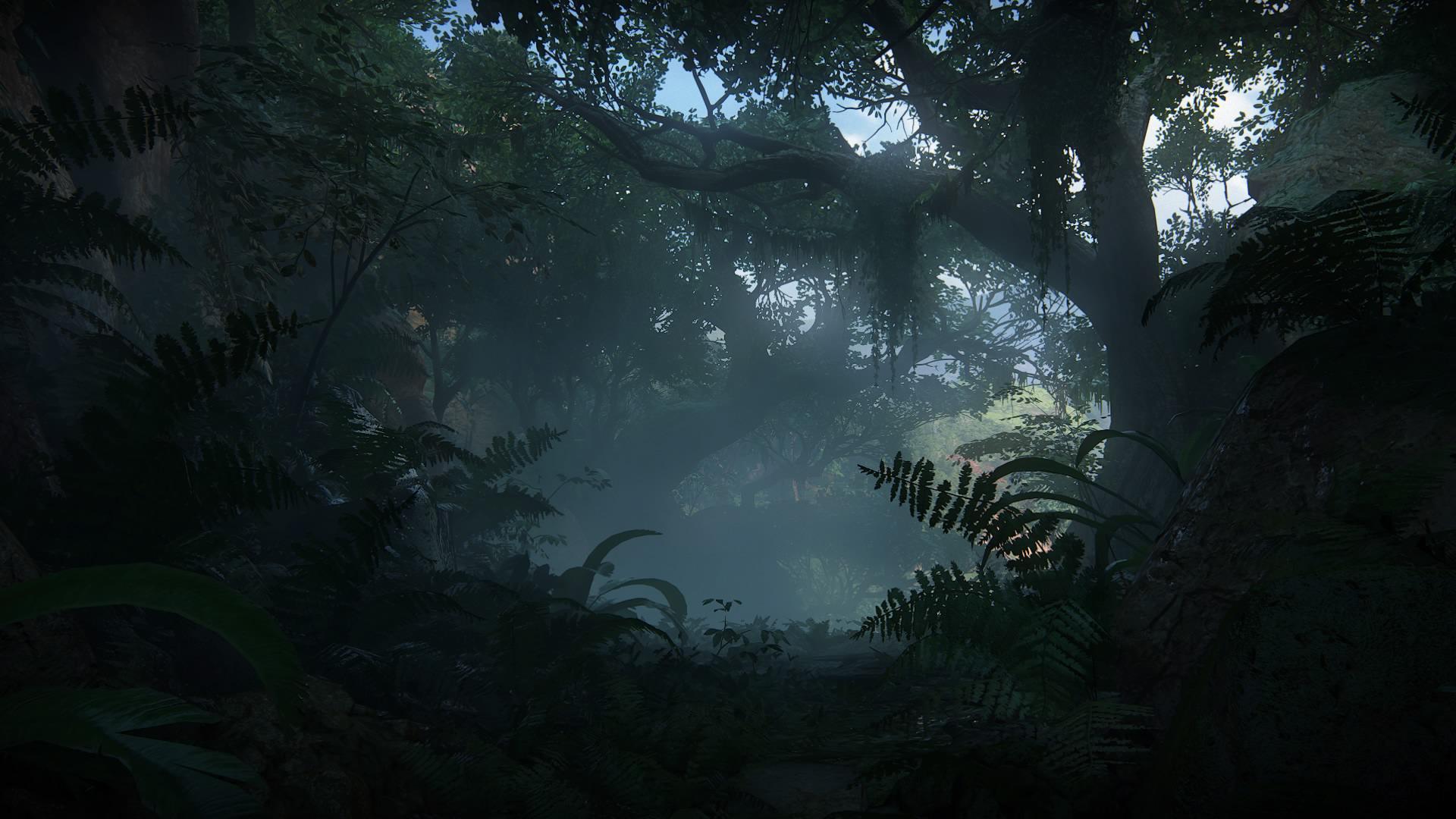 My desktop wallpaper since August 2017 | Scrolller