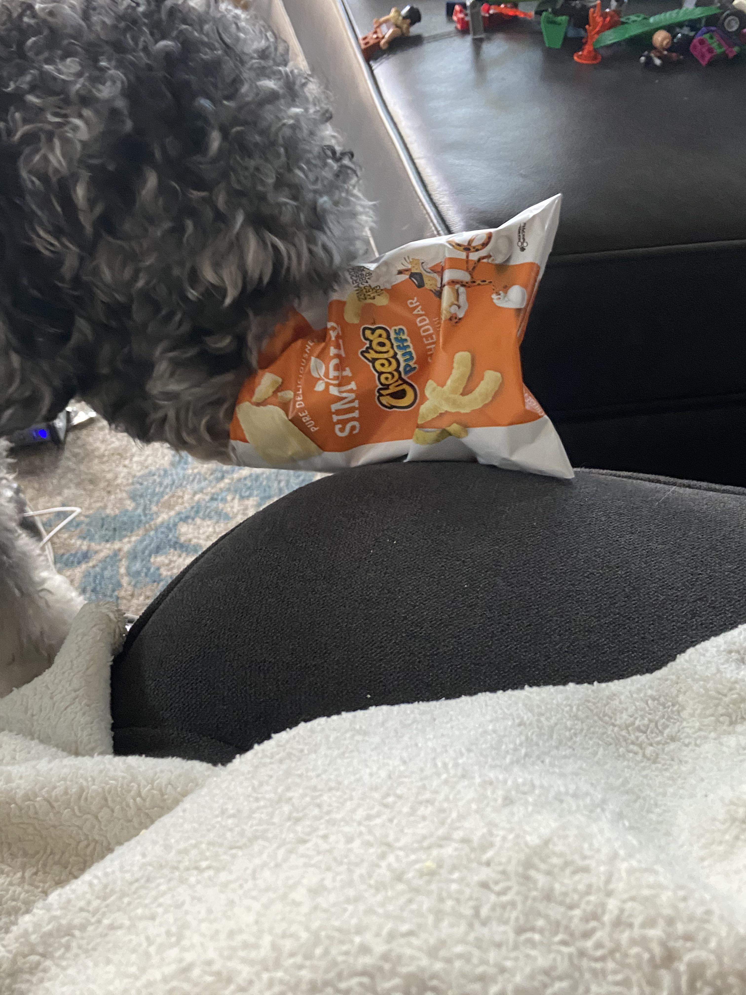 My dog eating Cheetos... | Scrolller
