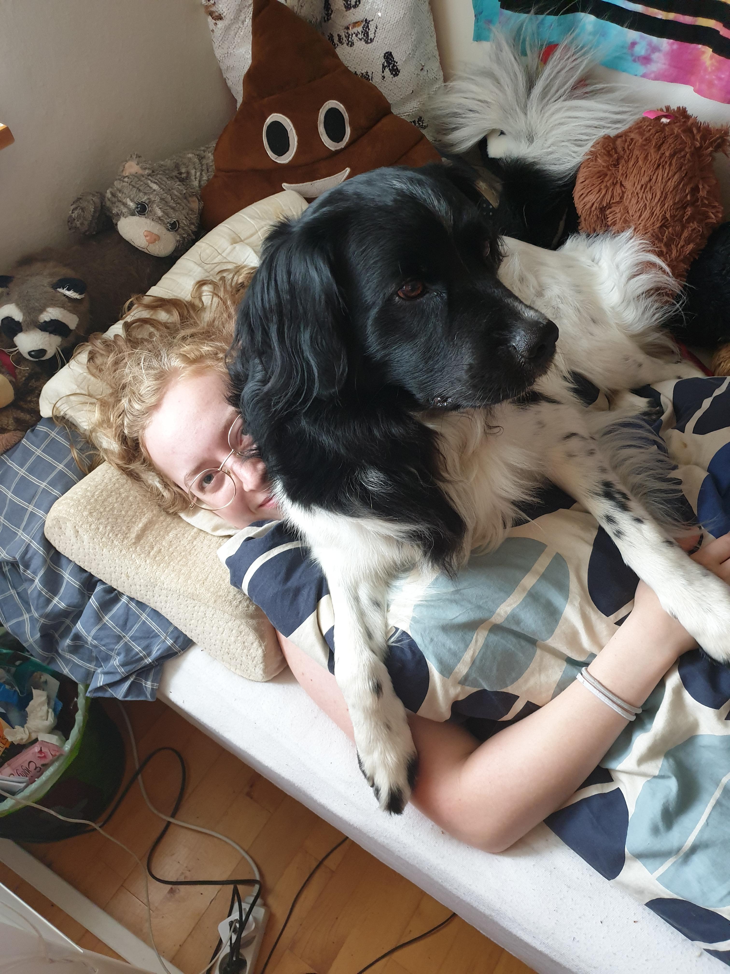 Discover more like GirlsCuddlingPuppies: My dog loves cuddling in the morning and Related ...