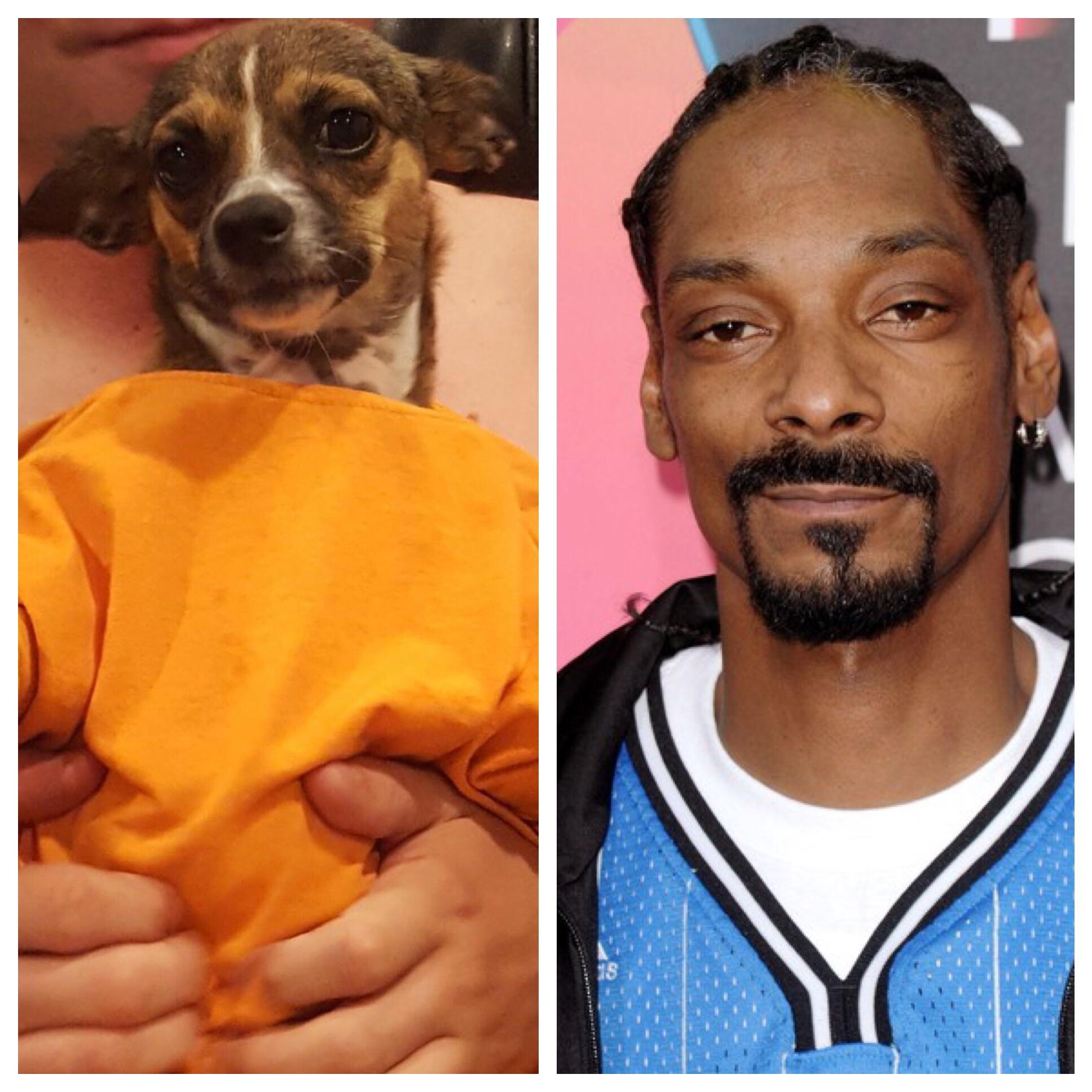 My dogg and snoop dogg? | Scrolller