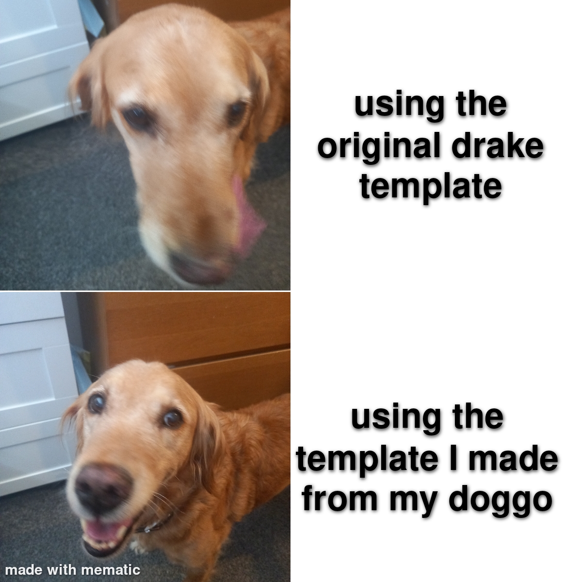 My doggo 🤌 | Scrolller