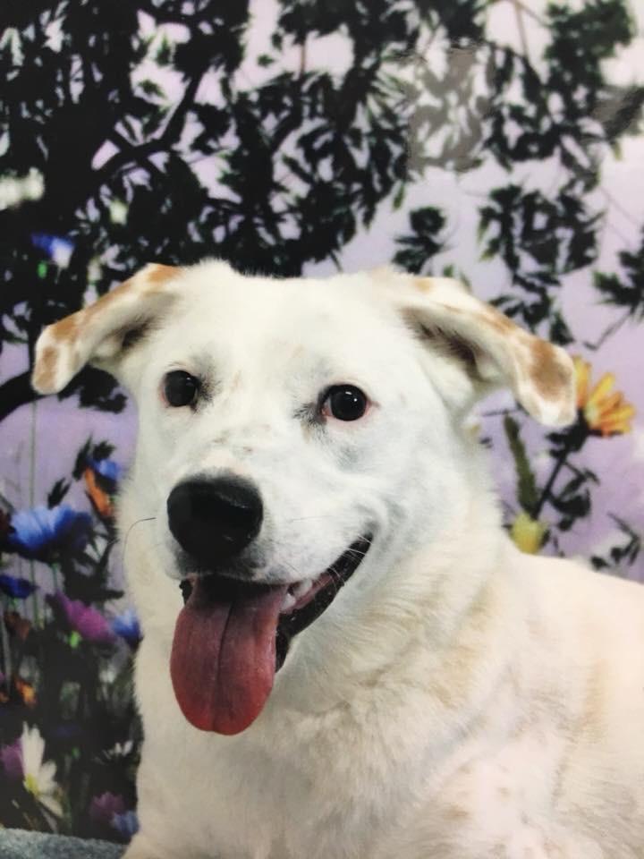 My Emma at 9 months | Scrolller