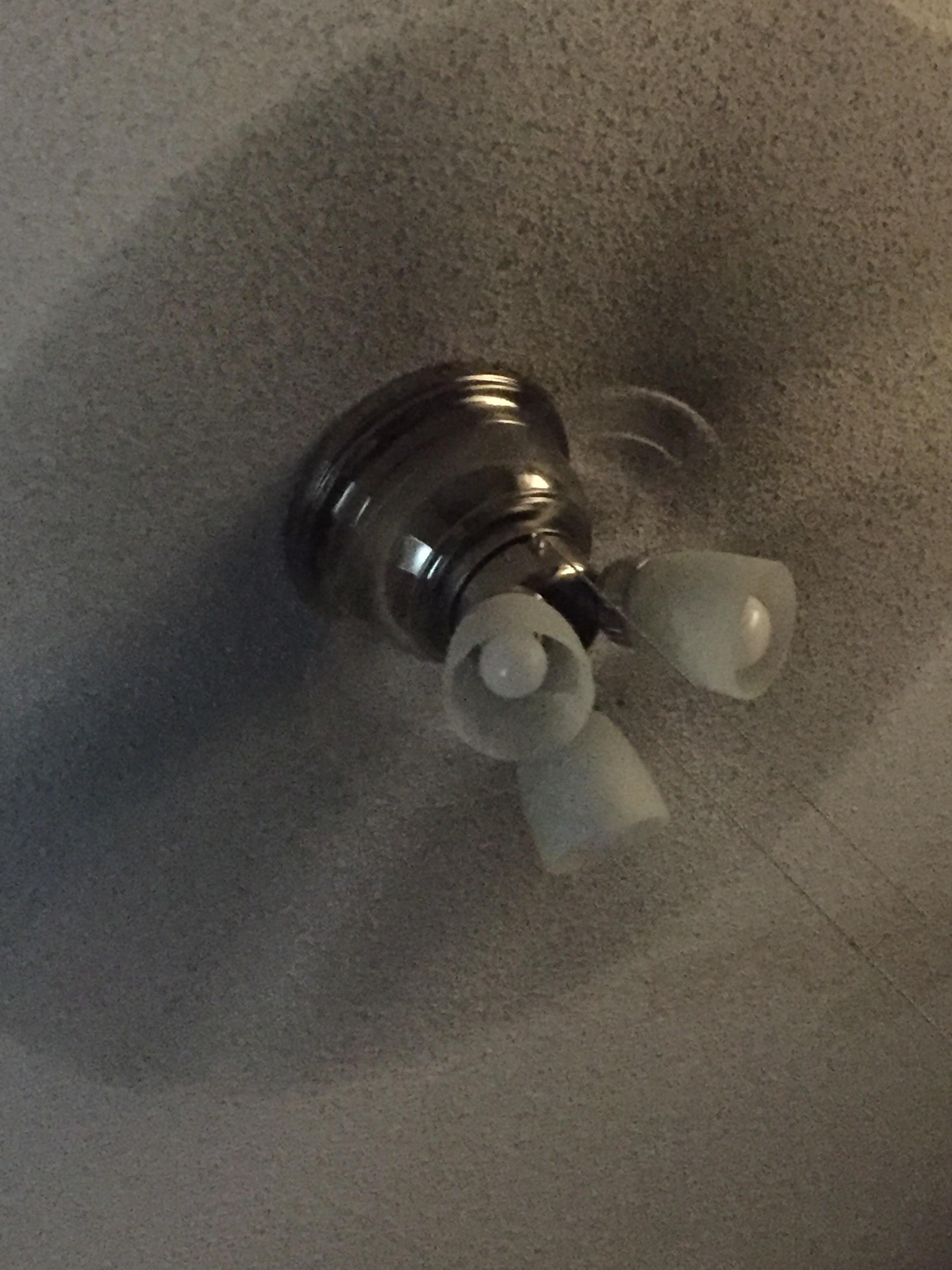 My Fan’s adore me | Scrolller