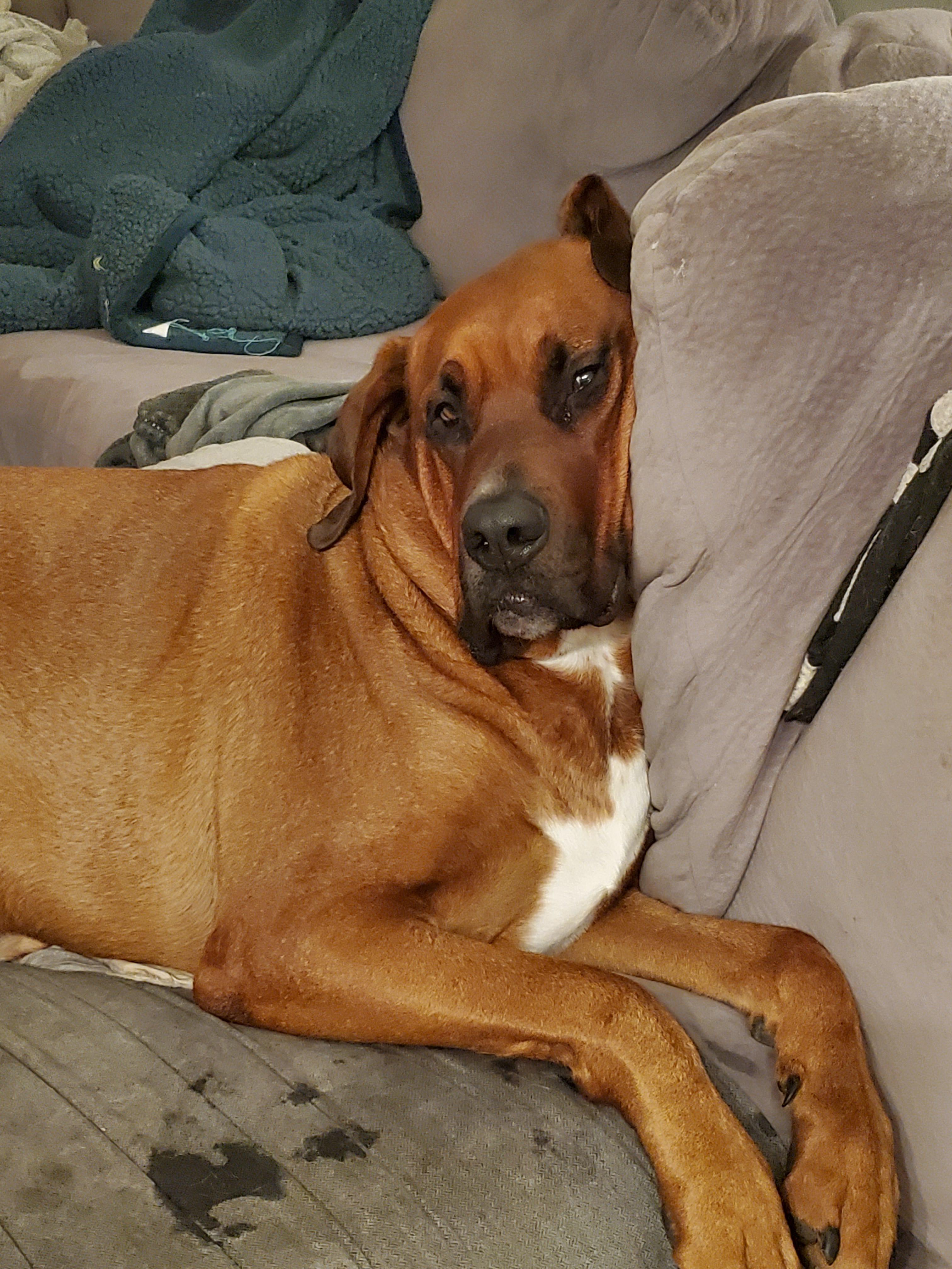 My favorite lounging position | Scrolller