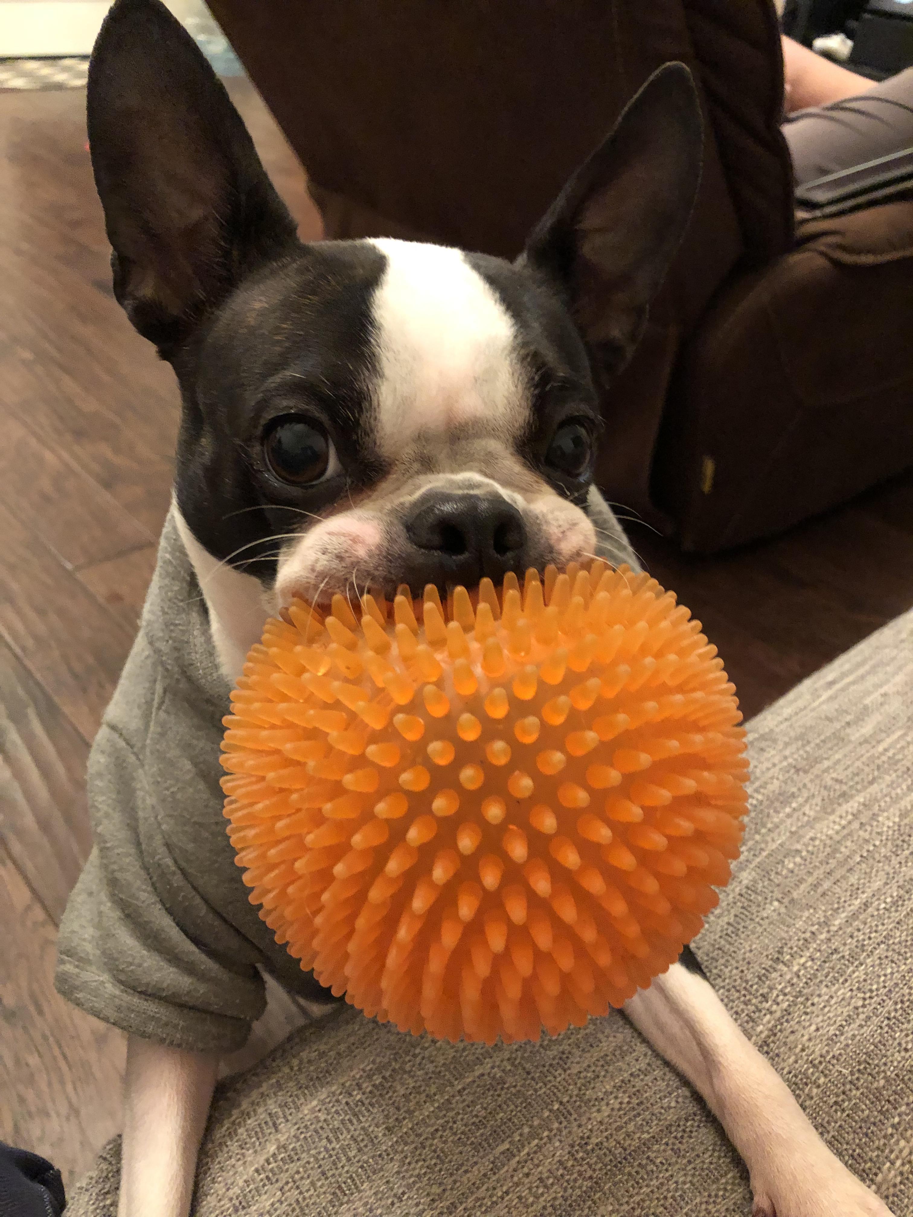 My favorite squish. | Scrolller