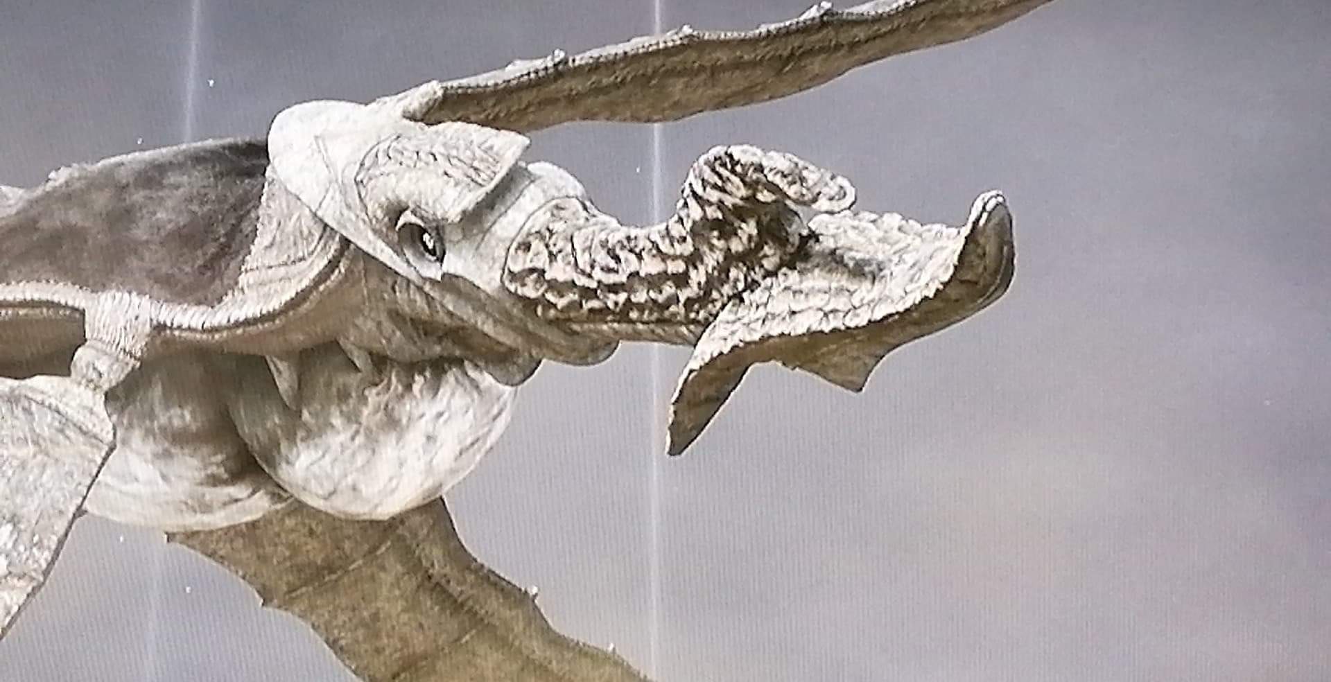 My favourite colossus | Scrolller