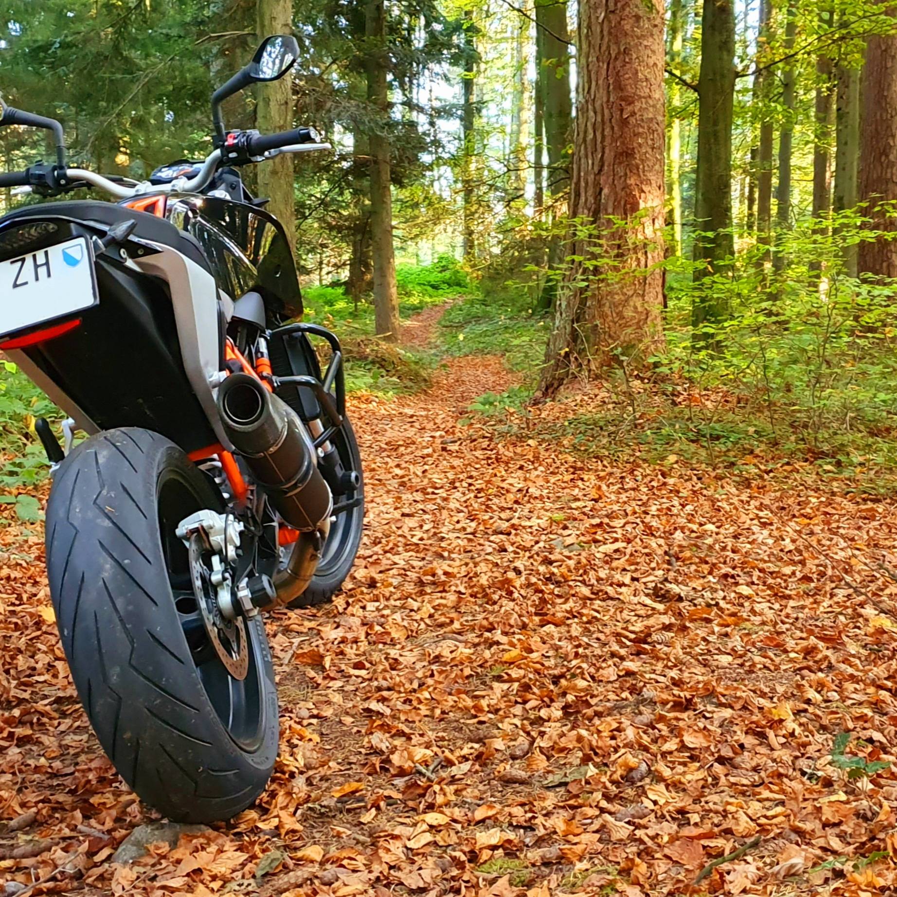 My first bike - my first love | Scrolller