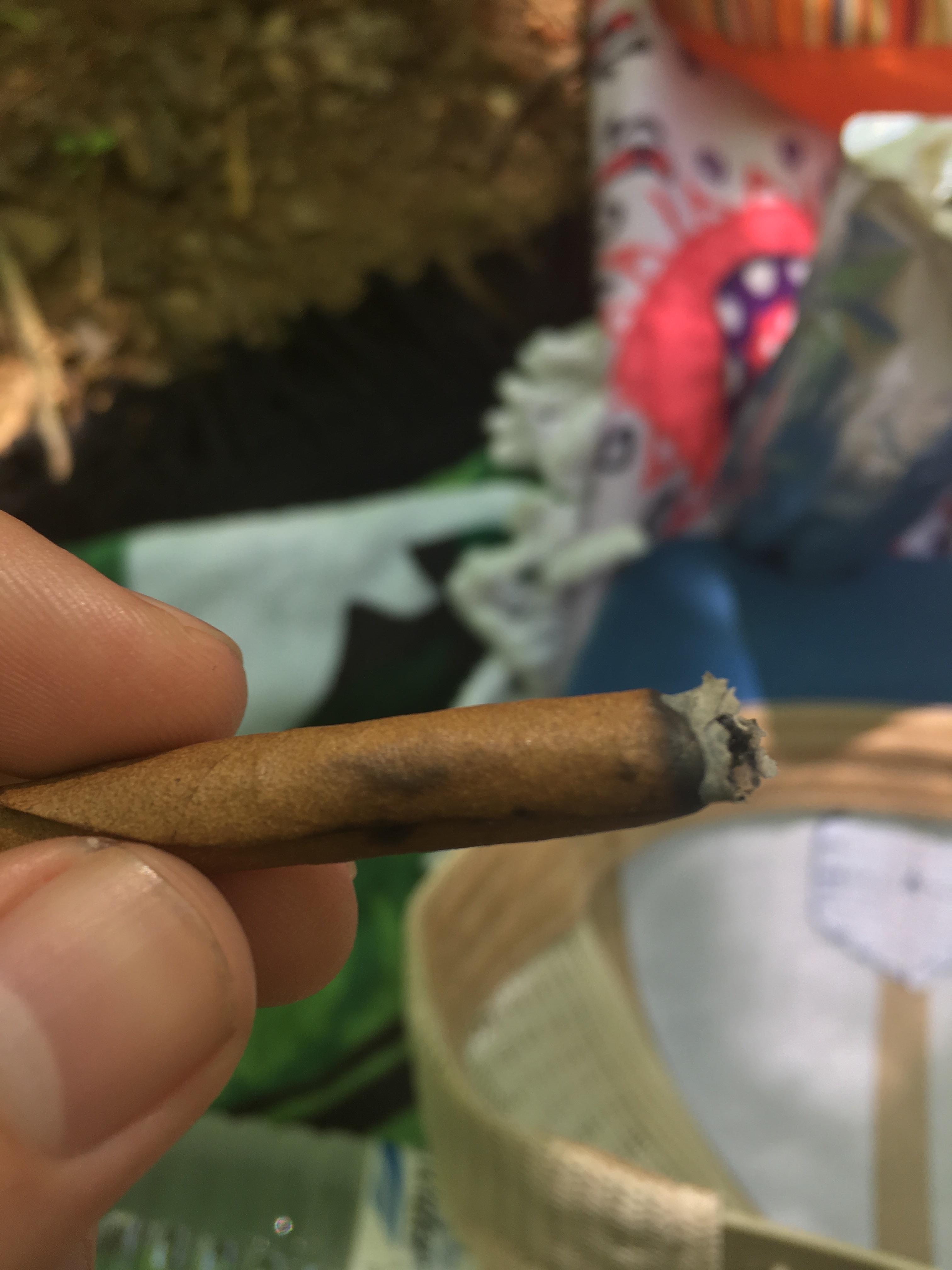 My First Blunt Half Smoked | Scrolller