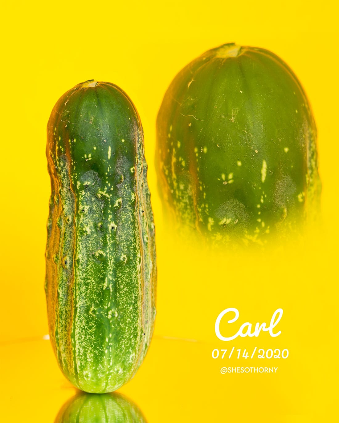 My first cucumber's senior photos🎓 off to become a pickle | Scrolller