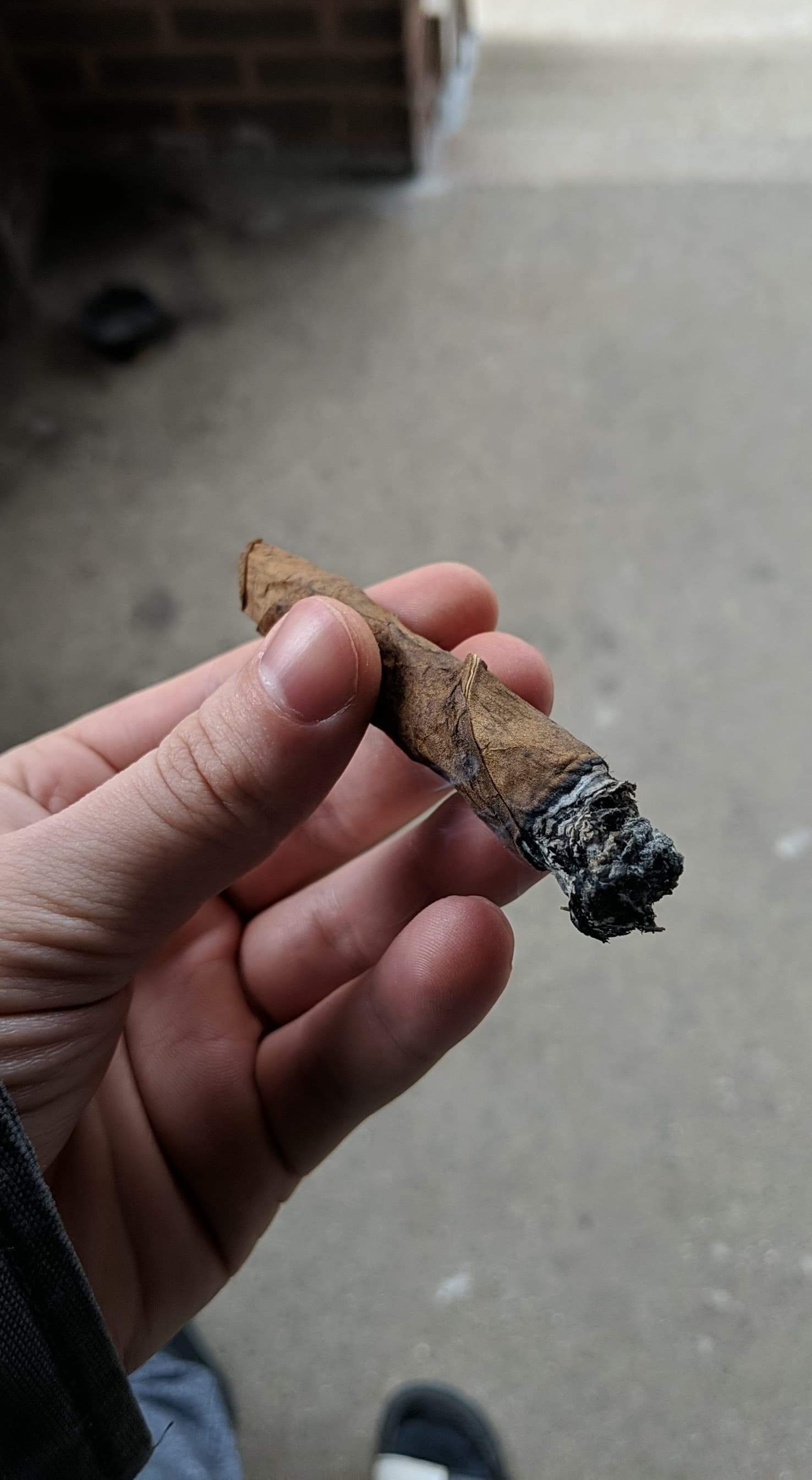 My first ever Backwoods! How'd I do? | Scrolller