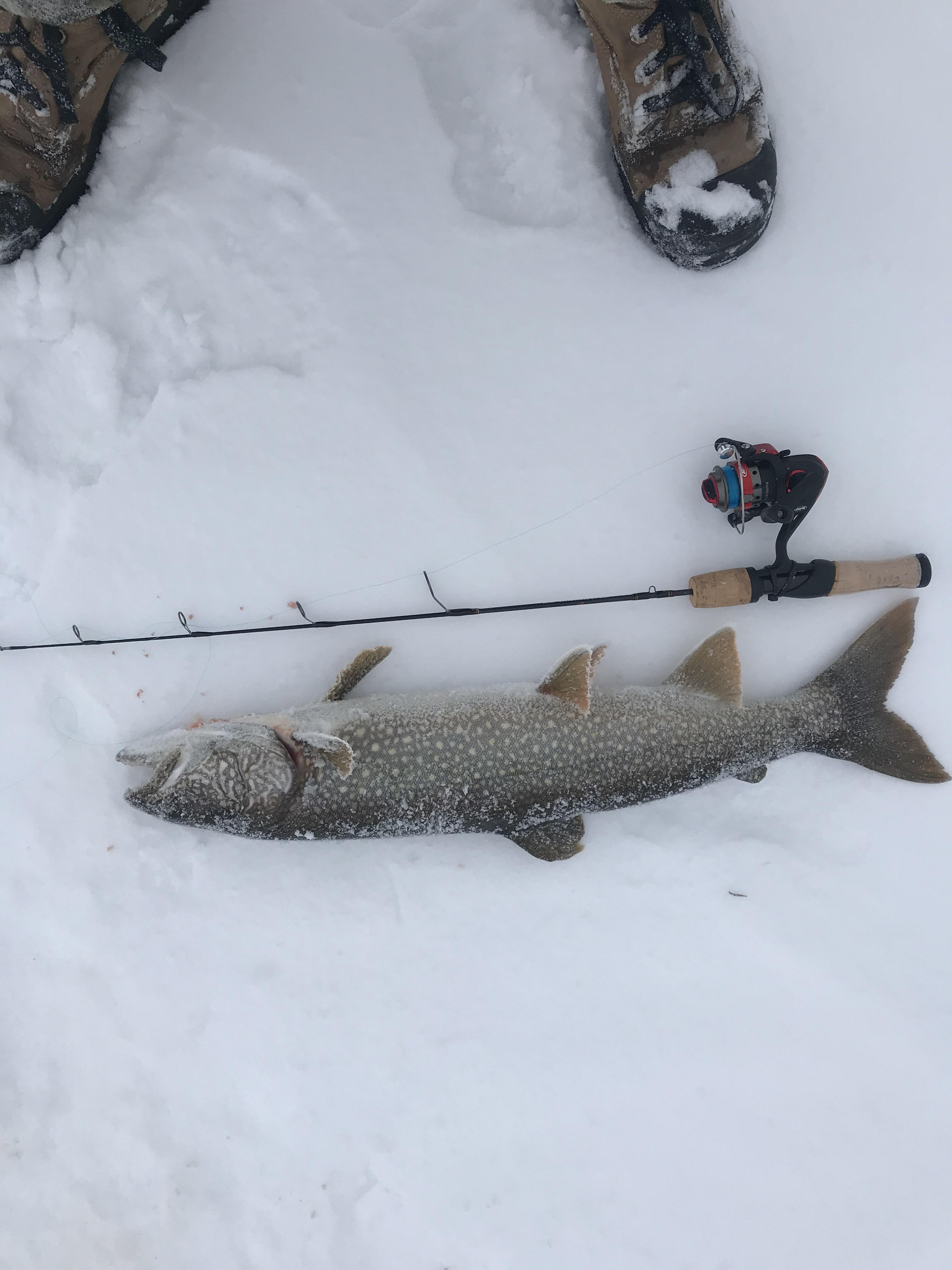 My first ever through ice | Scrolller