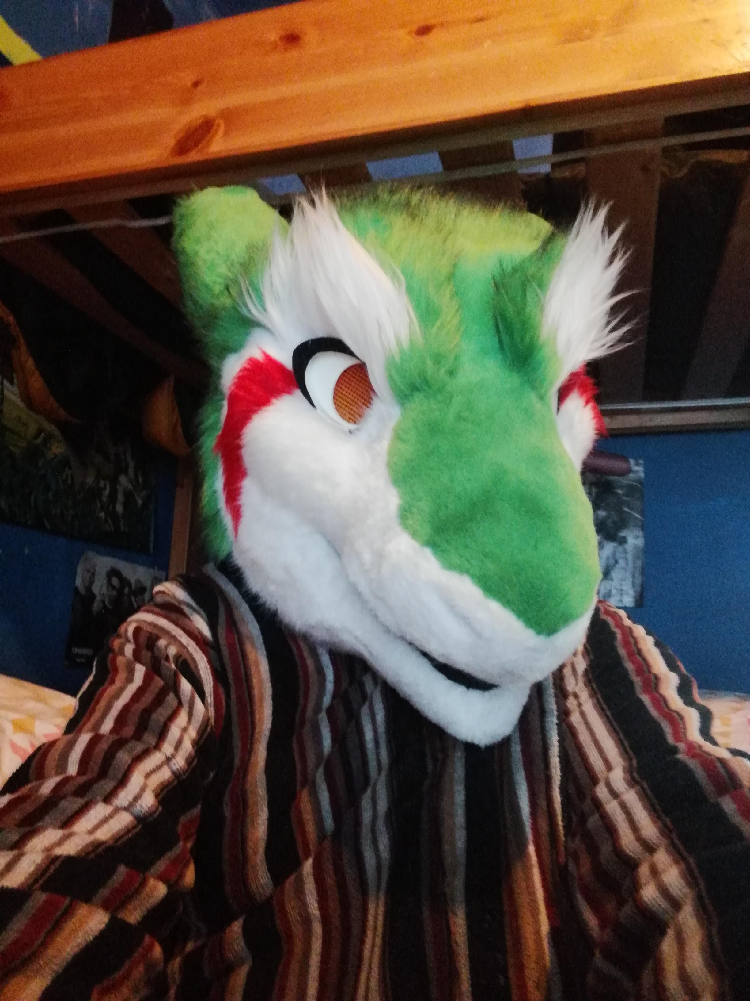 My First Fursuit! | Scrolller