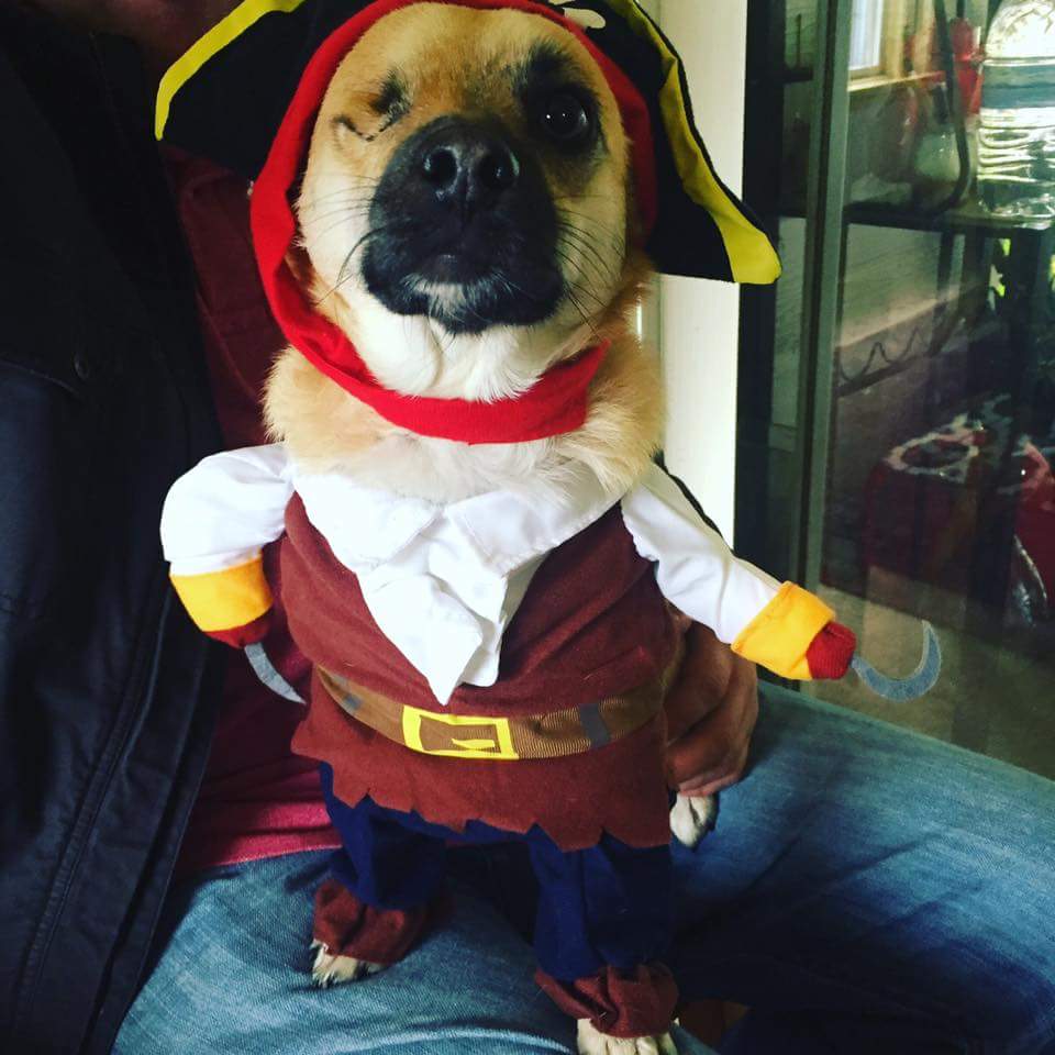 My first mate, One Eyed Jack. | Scrolller