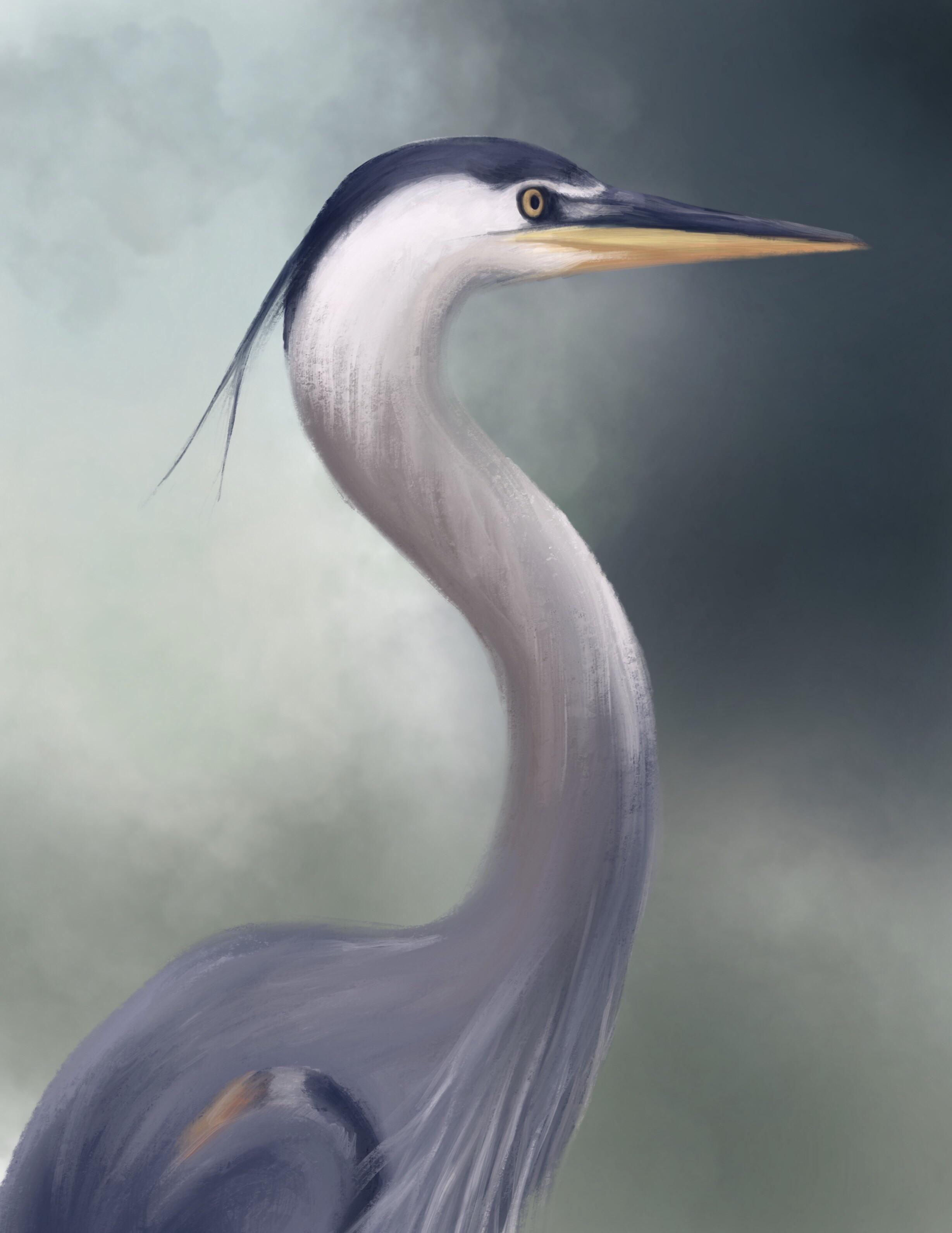 My first ProCreate drawing, still learning | Scrolller