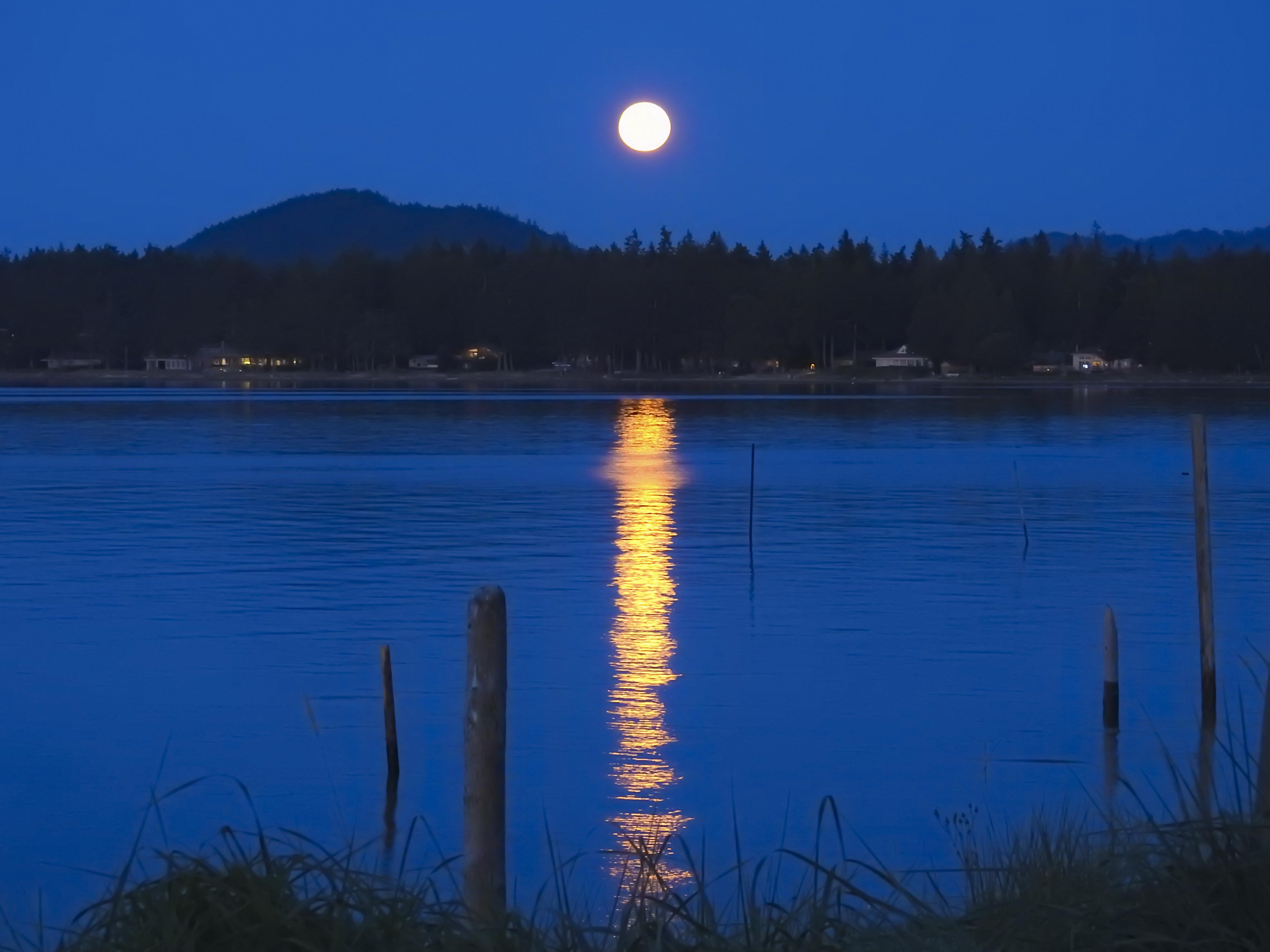 My first serious attempt at editing photos - Thoughts? | Scrolller