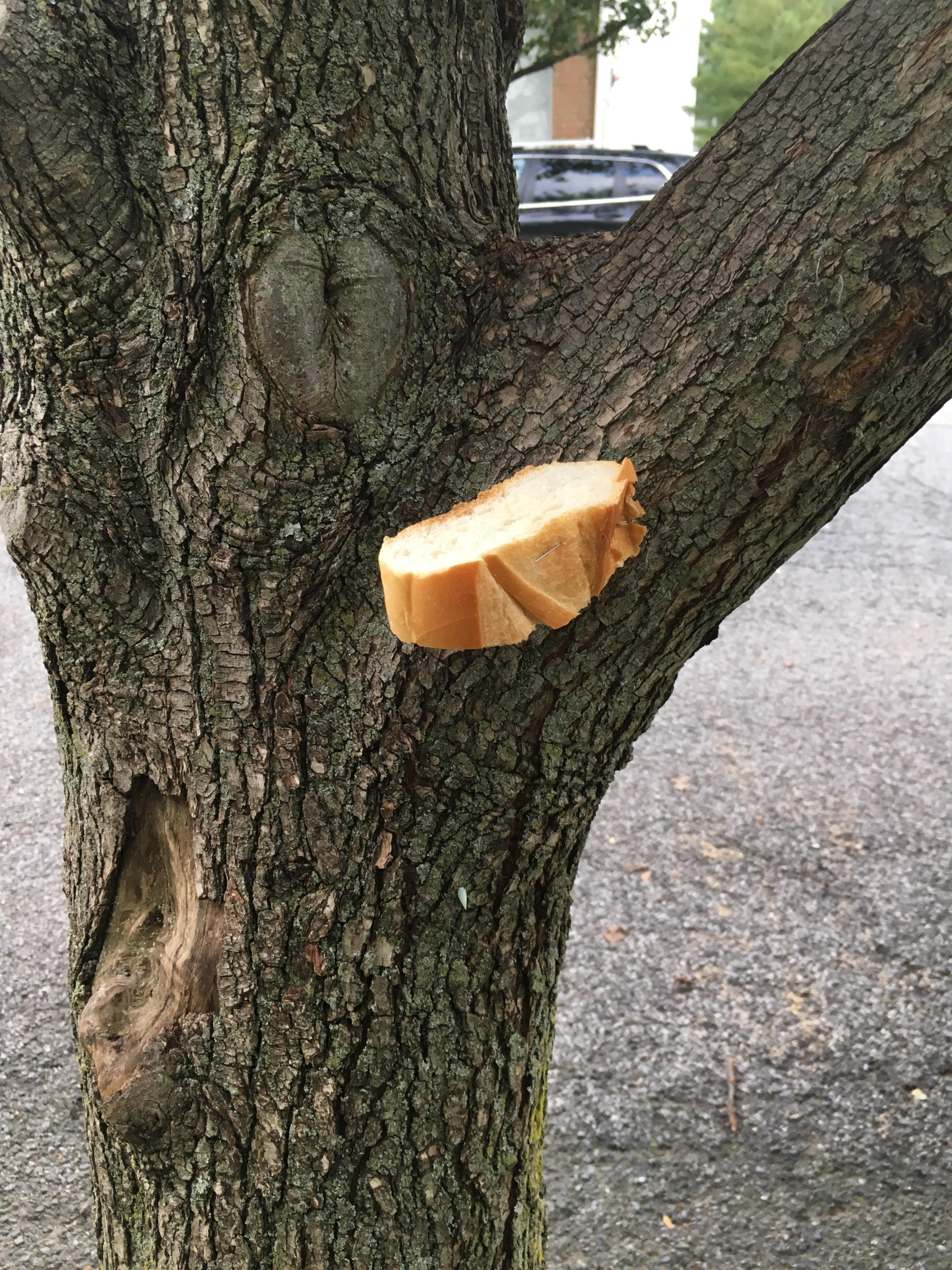 My first staple. | Scrolller
