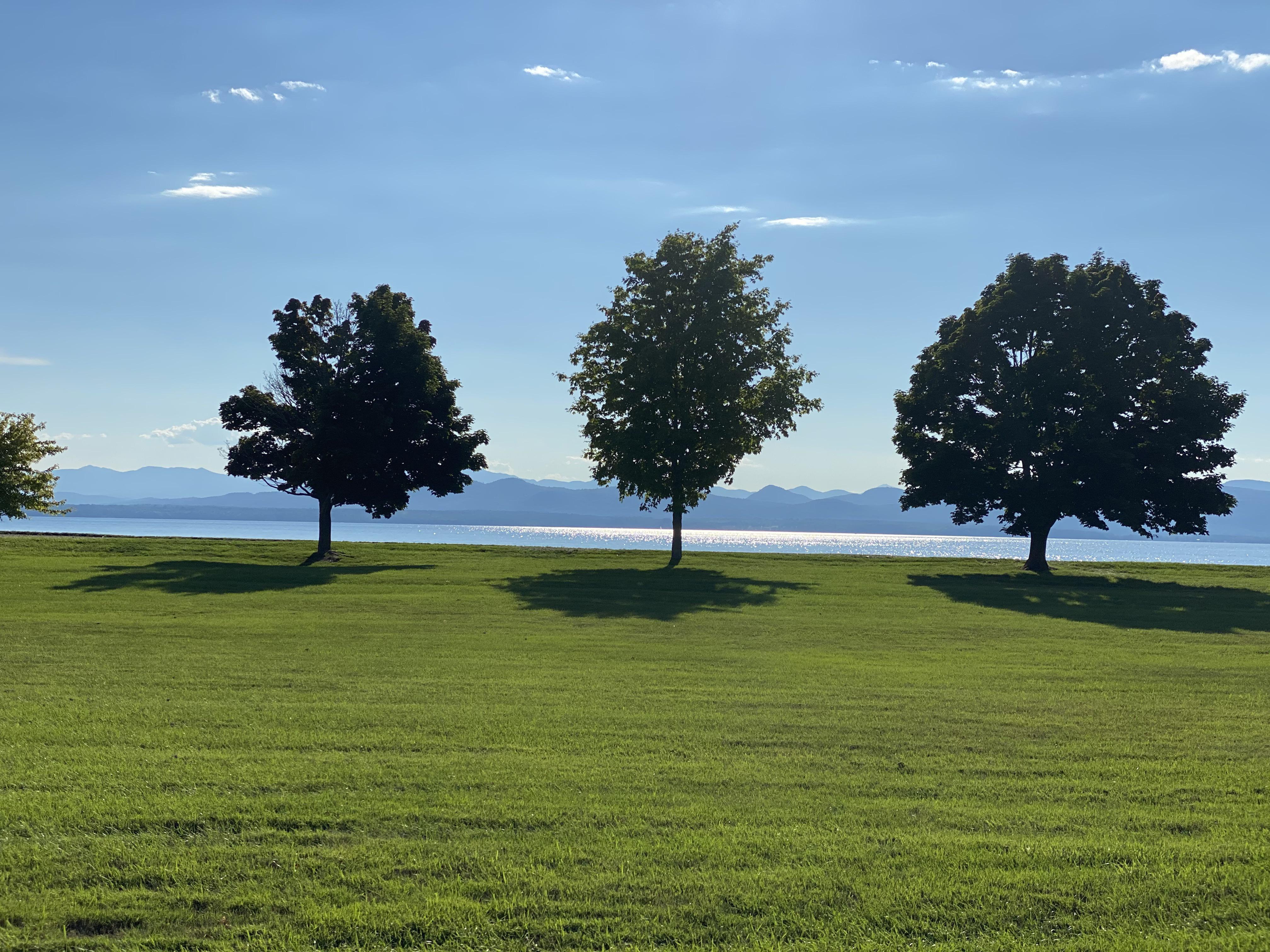 My friend sent me this picture yesterday | Scrolller