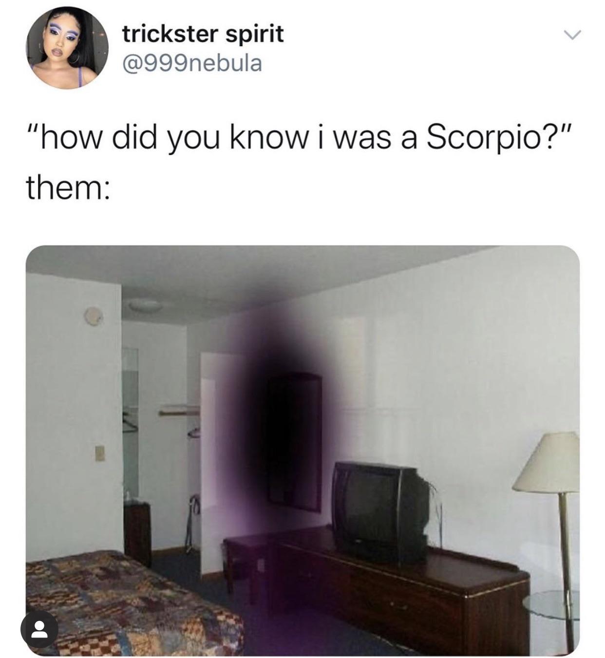 My friend sent me this Scorpio meme lmfao | Scrolller