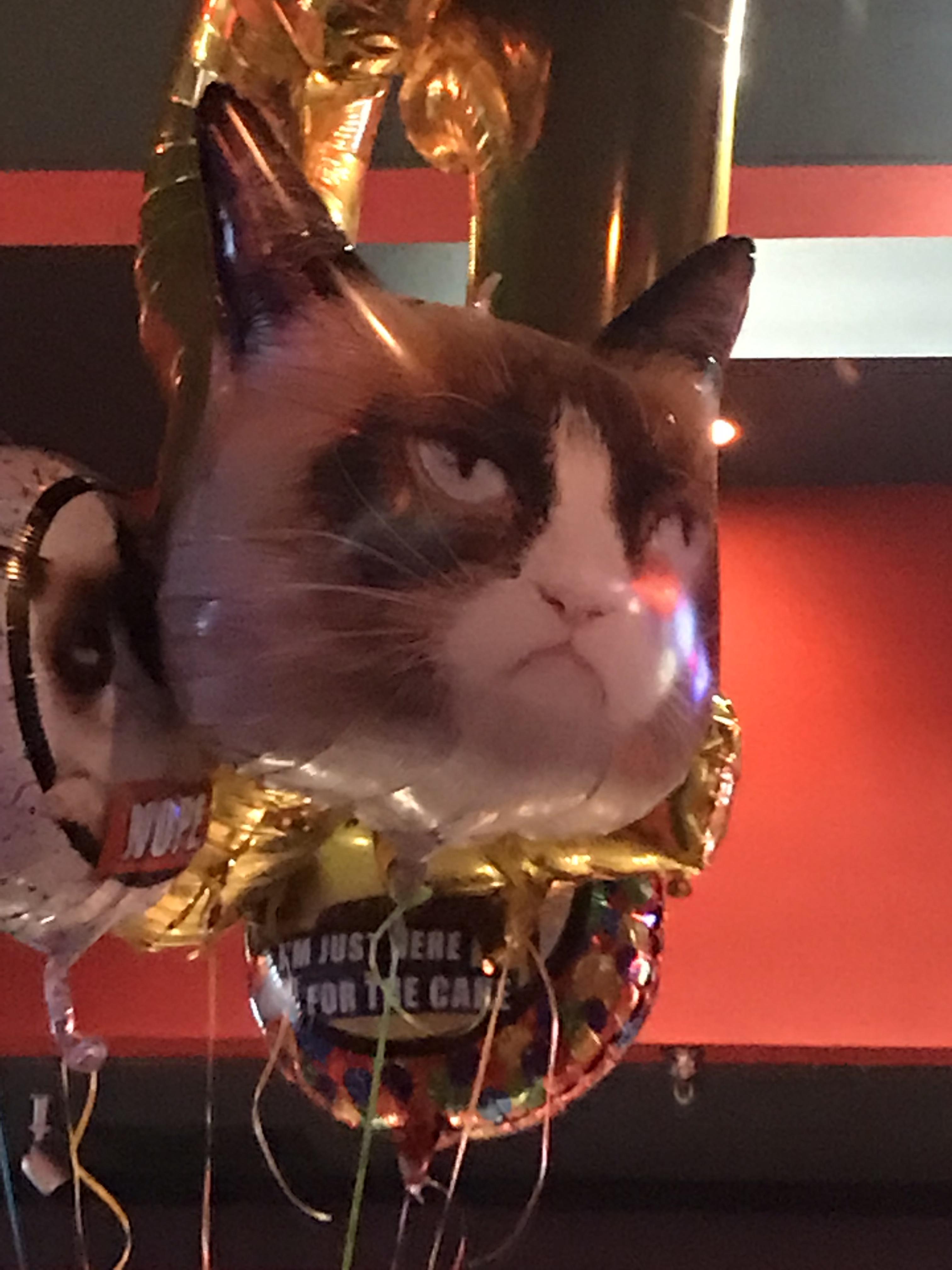 My friend's mom got him grumpy cat balloons for his birthday. Grumpy cat was still alive then. F ...