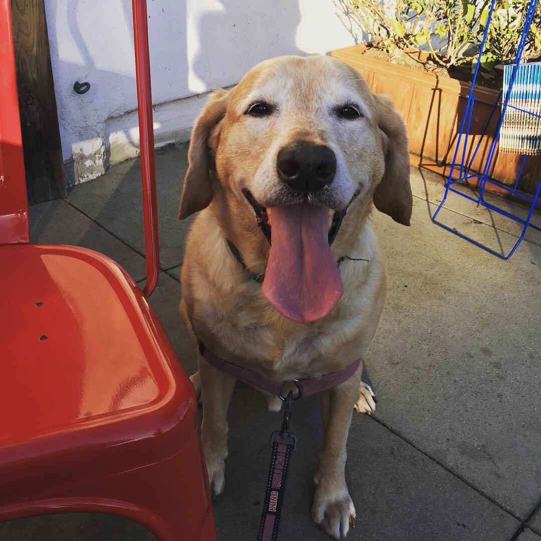 My friends old man Strider | Scrolller