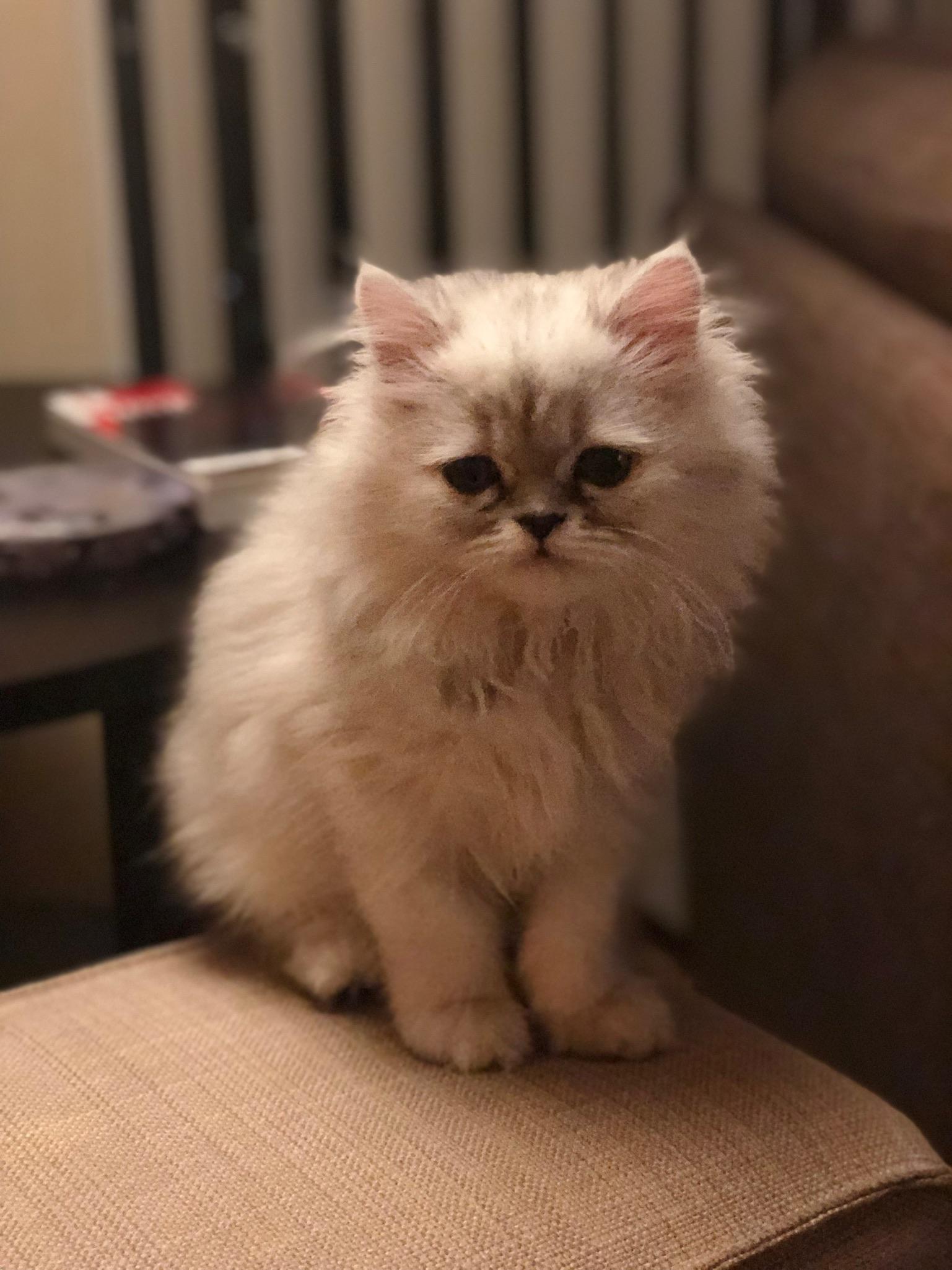 My Girl First Day Home Scrolller