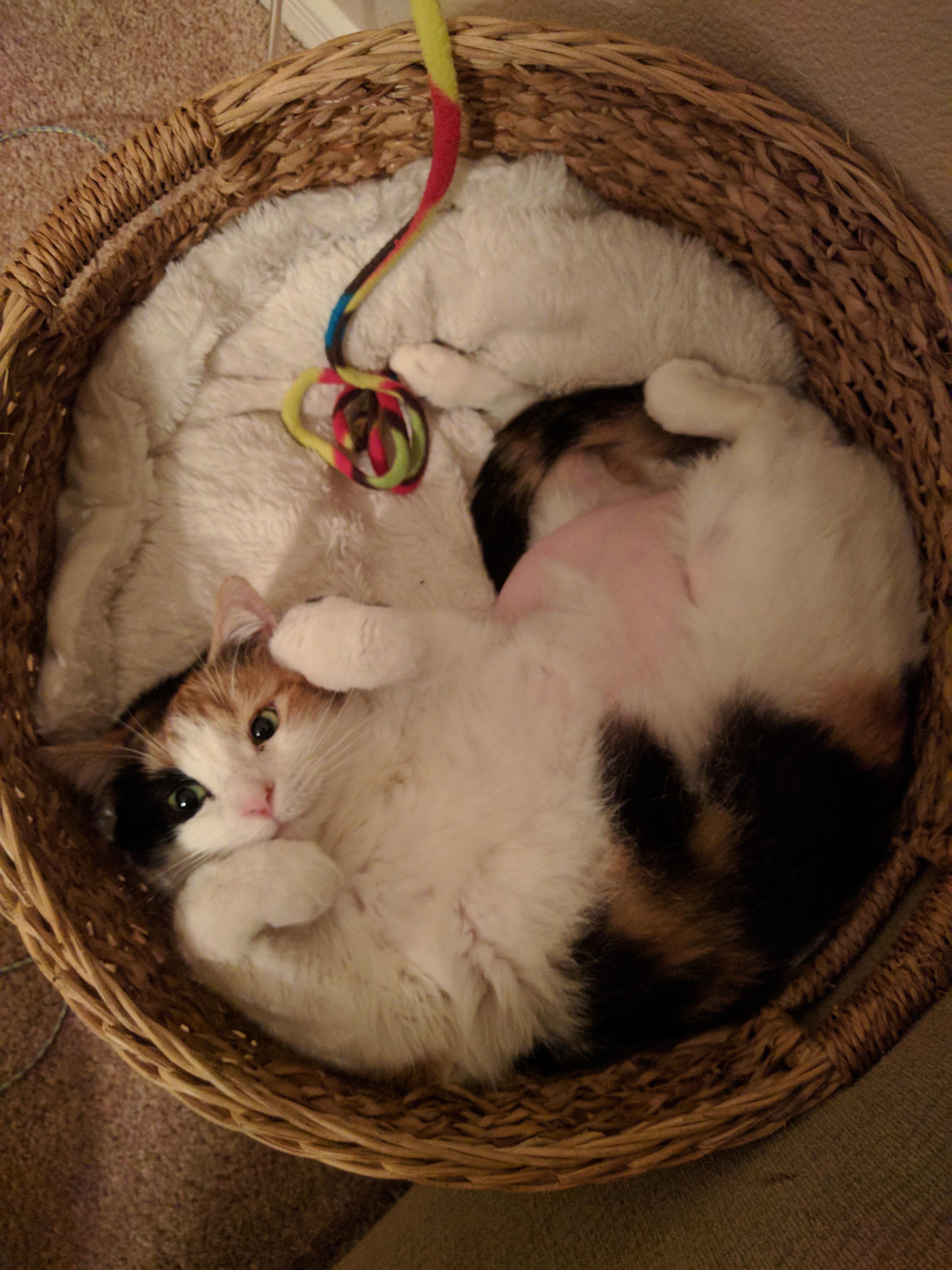 My Gooby girl | Scrolller