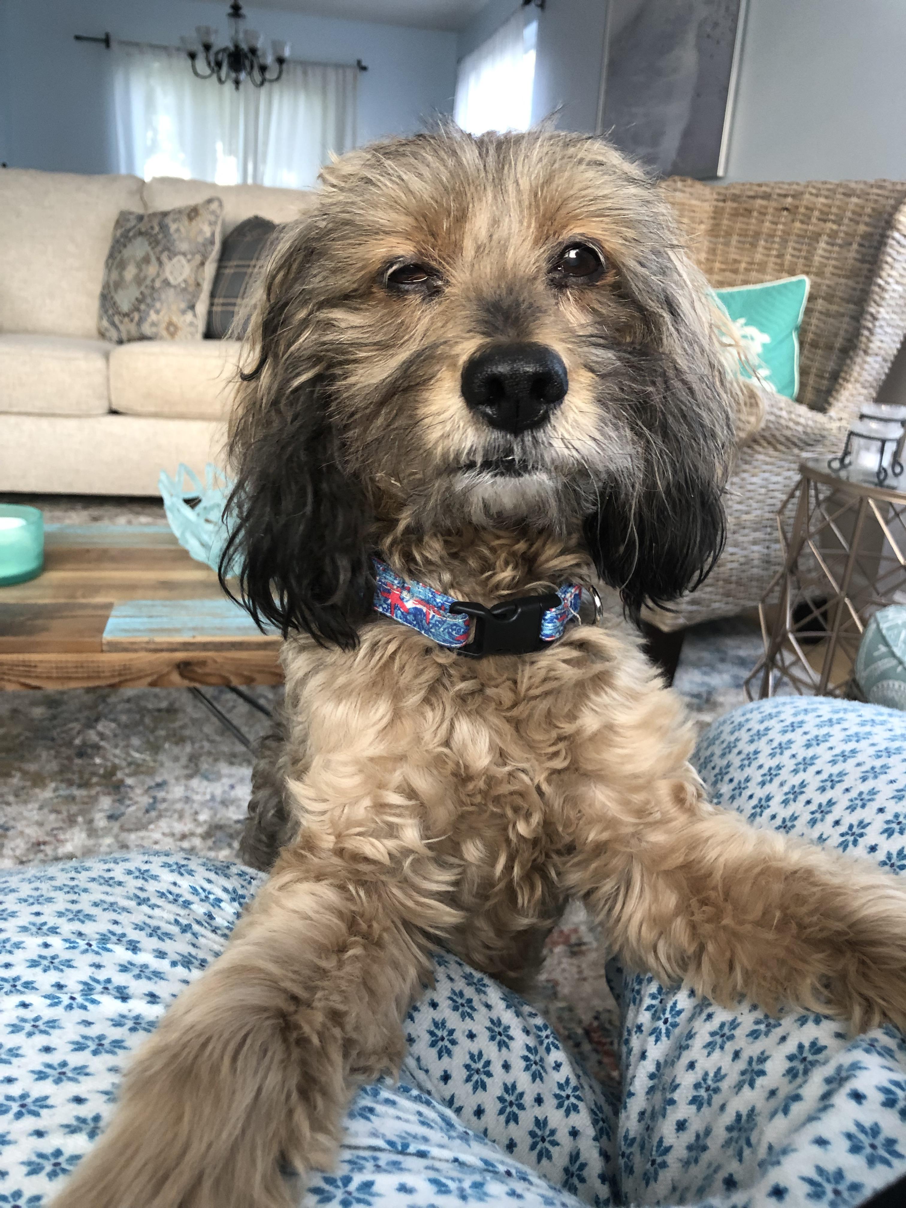 my good ol’ boy George 💘 | Scrolller