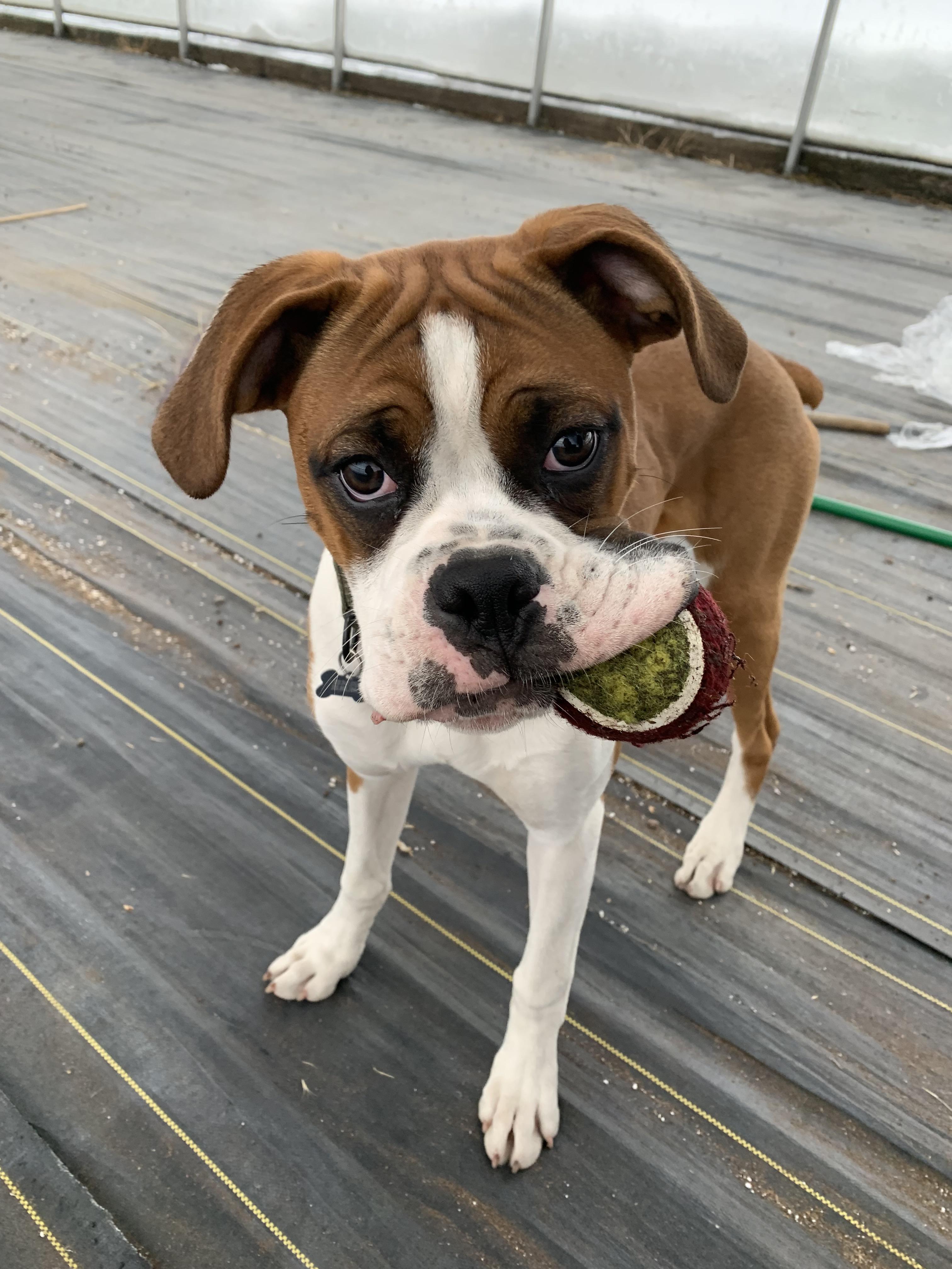 My goofy guy | Scrolller