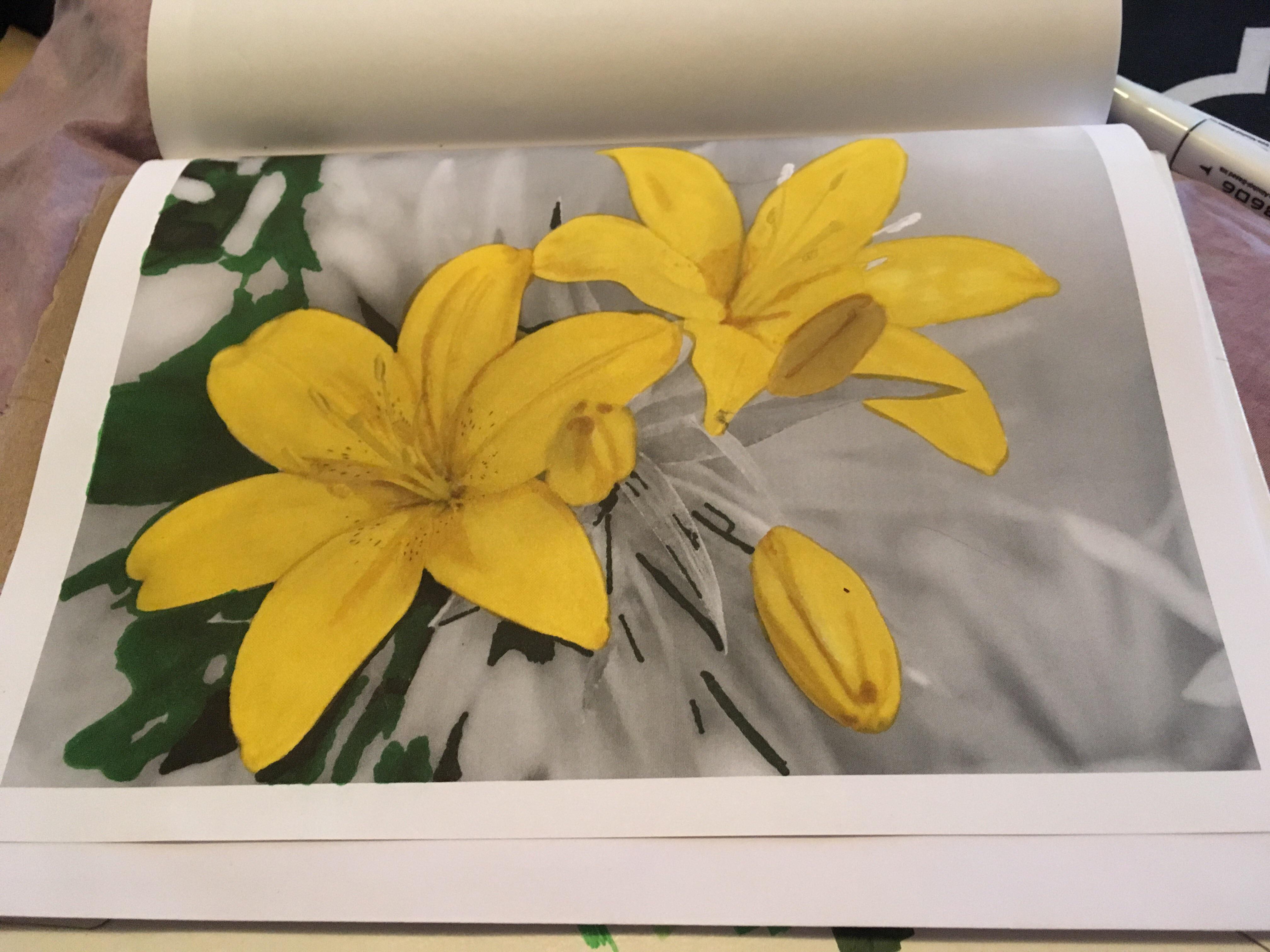 My grayscale in progress | Scrolller