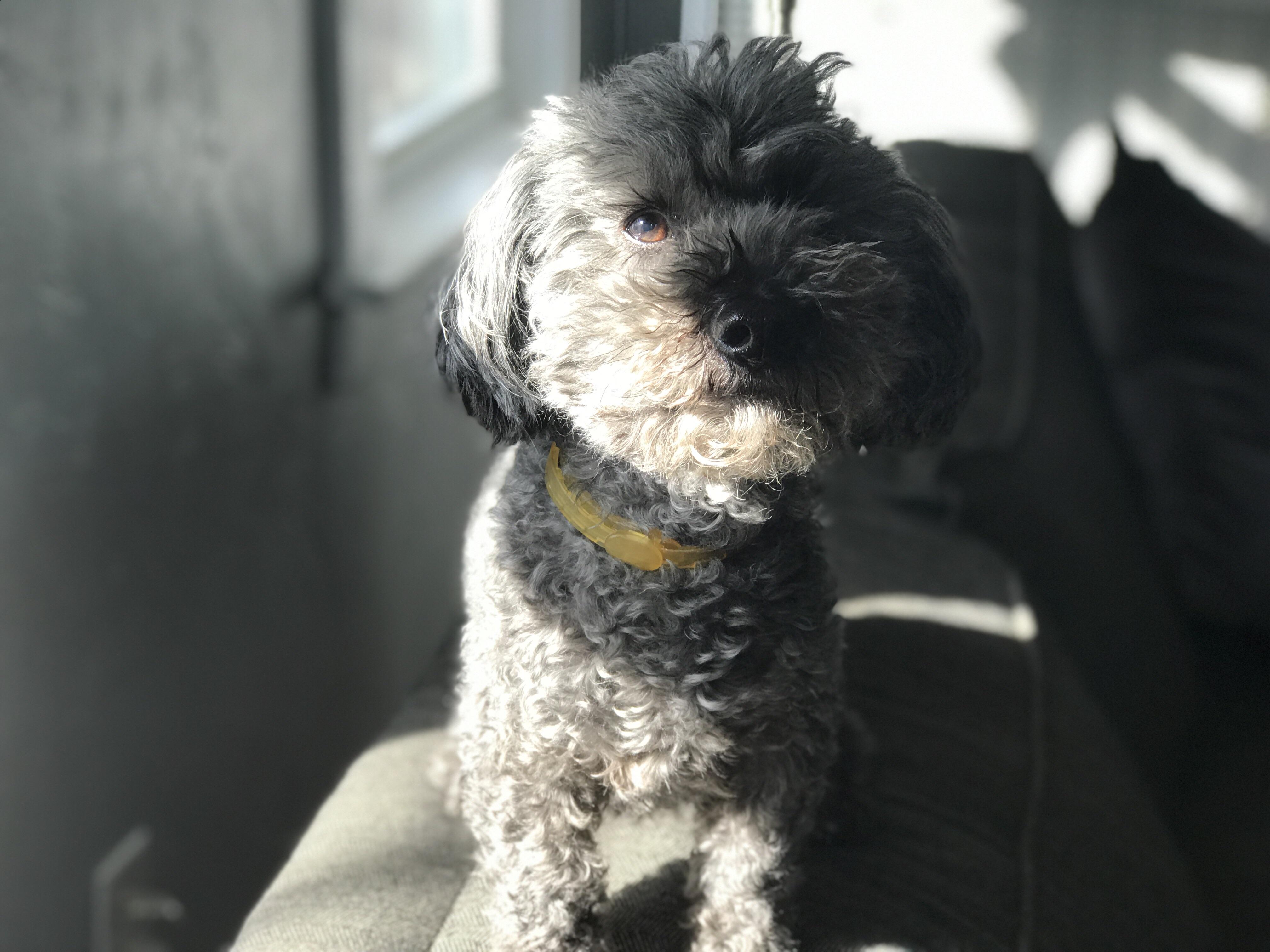 My guy, Rex ️ | Scrolller