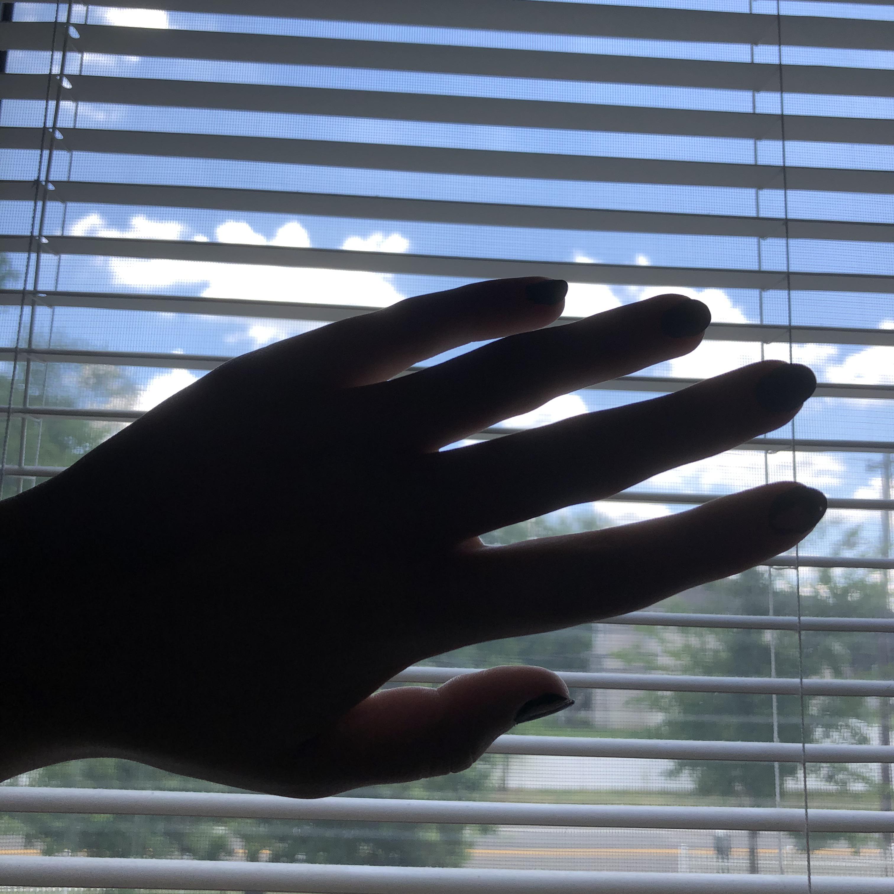my hand against the light from my window | Scrolller
