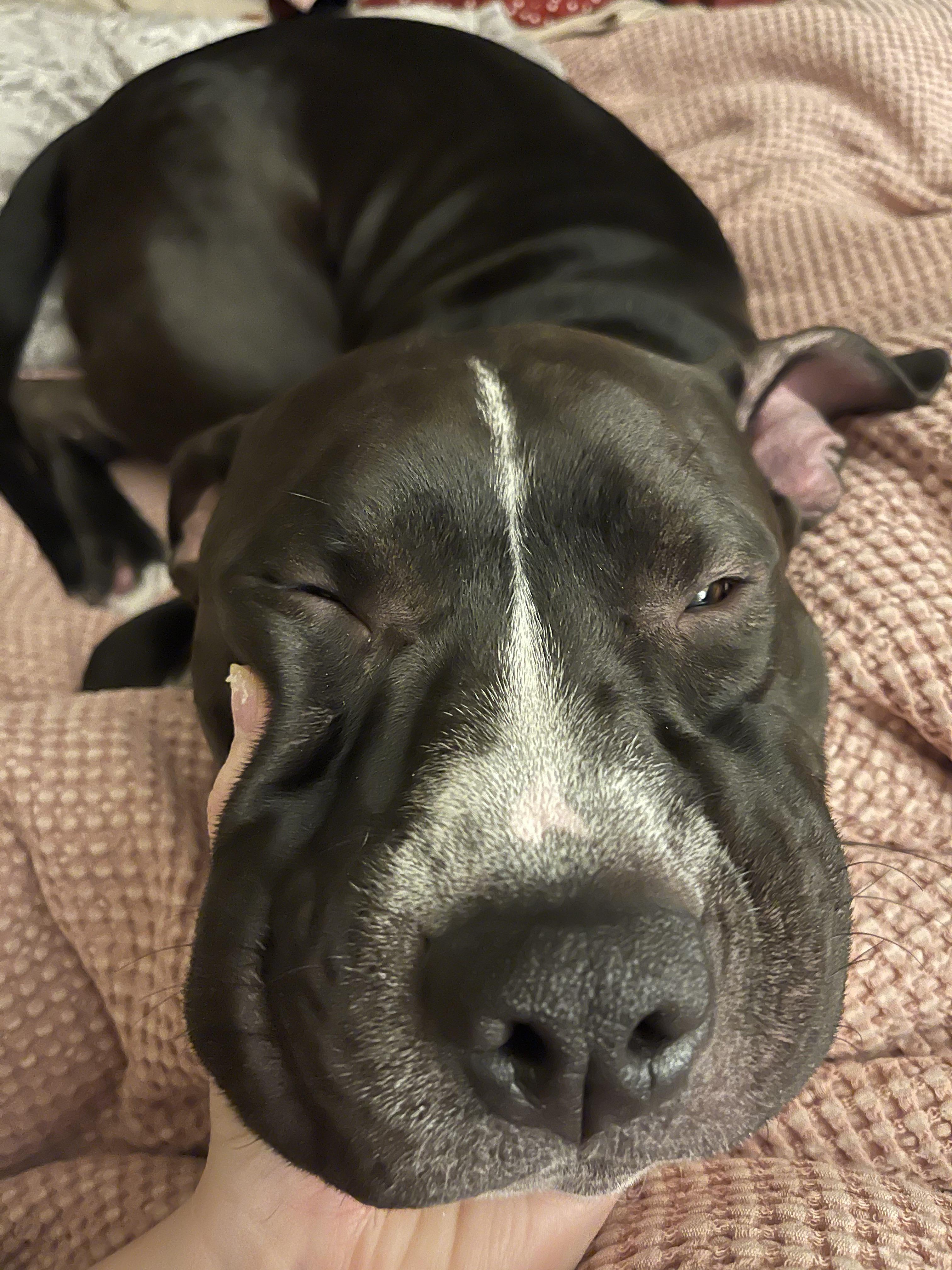 My hand is too smol to contain all his squish | Scrolller