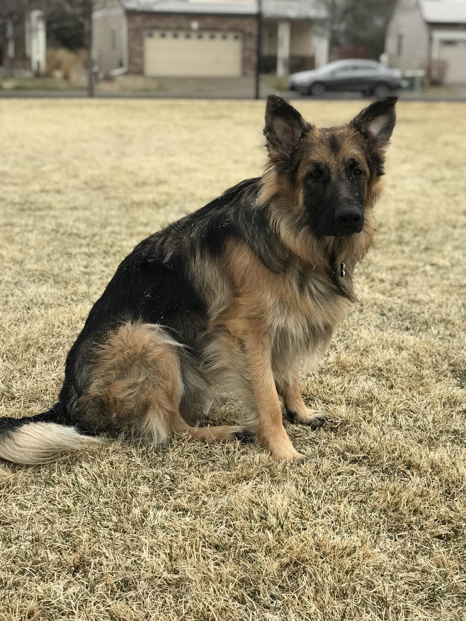 My handsome boy! | Scrolller