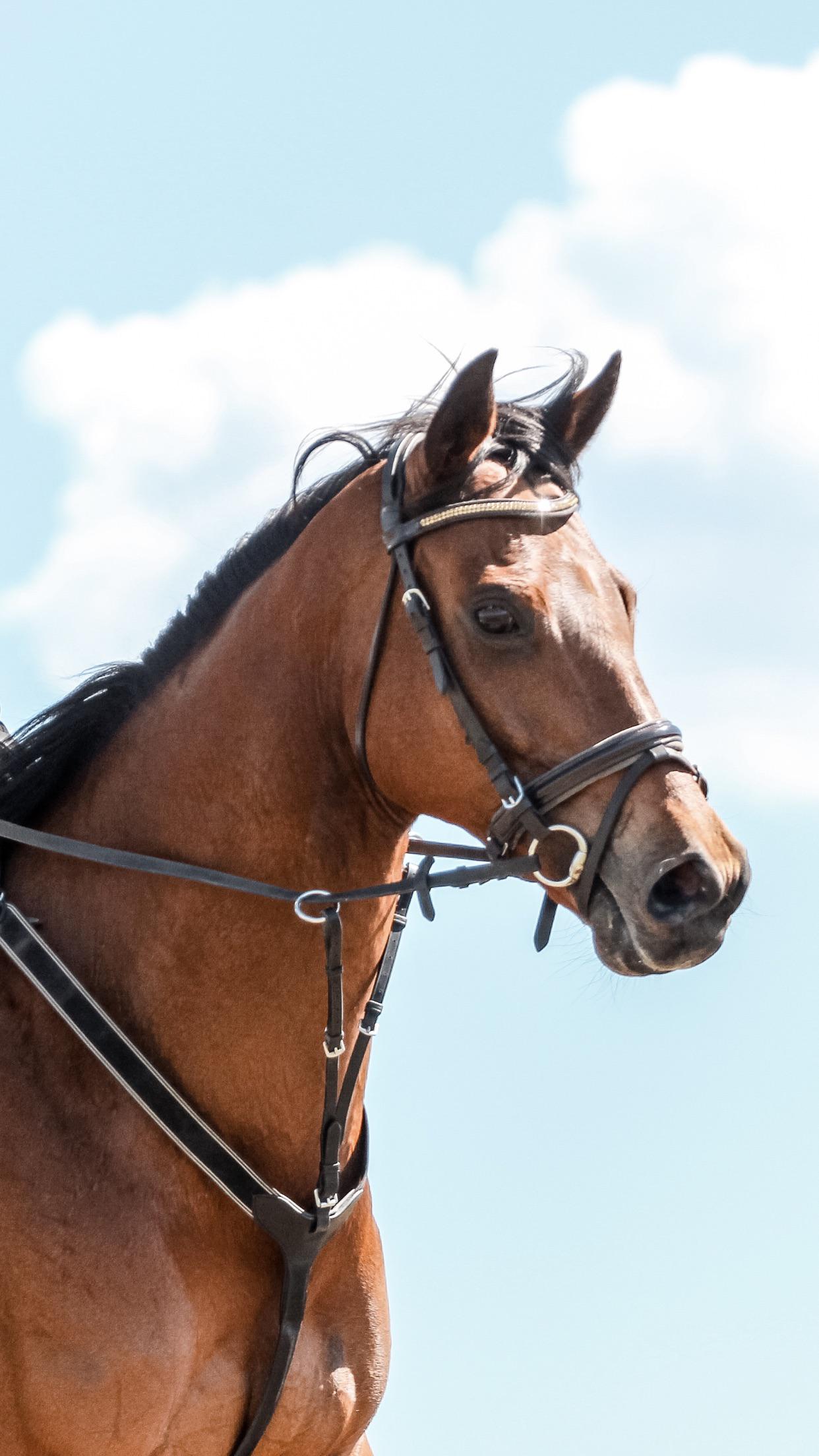My handsome boy at his first competition! | Scrolller