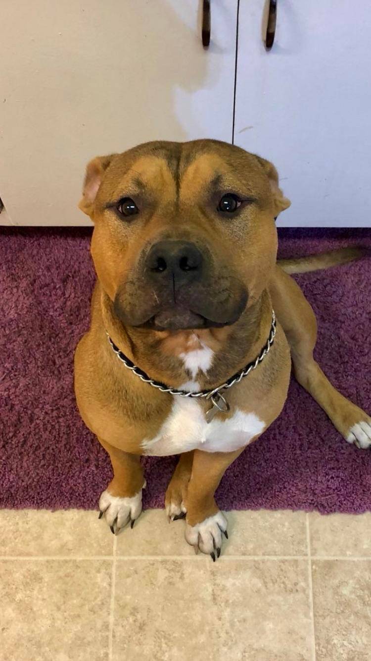 My handsome boy just turned 1! | Scrolller