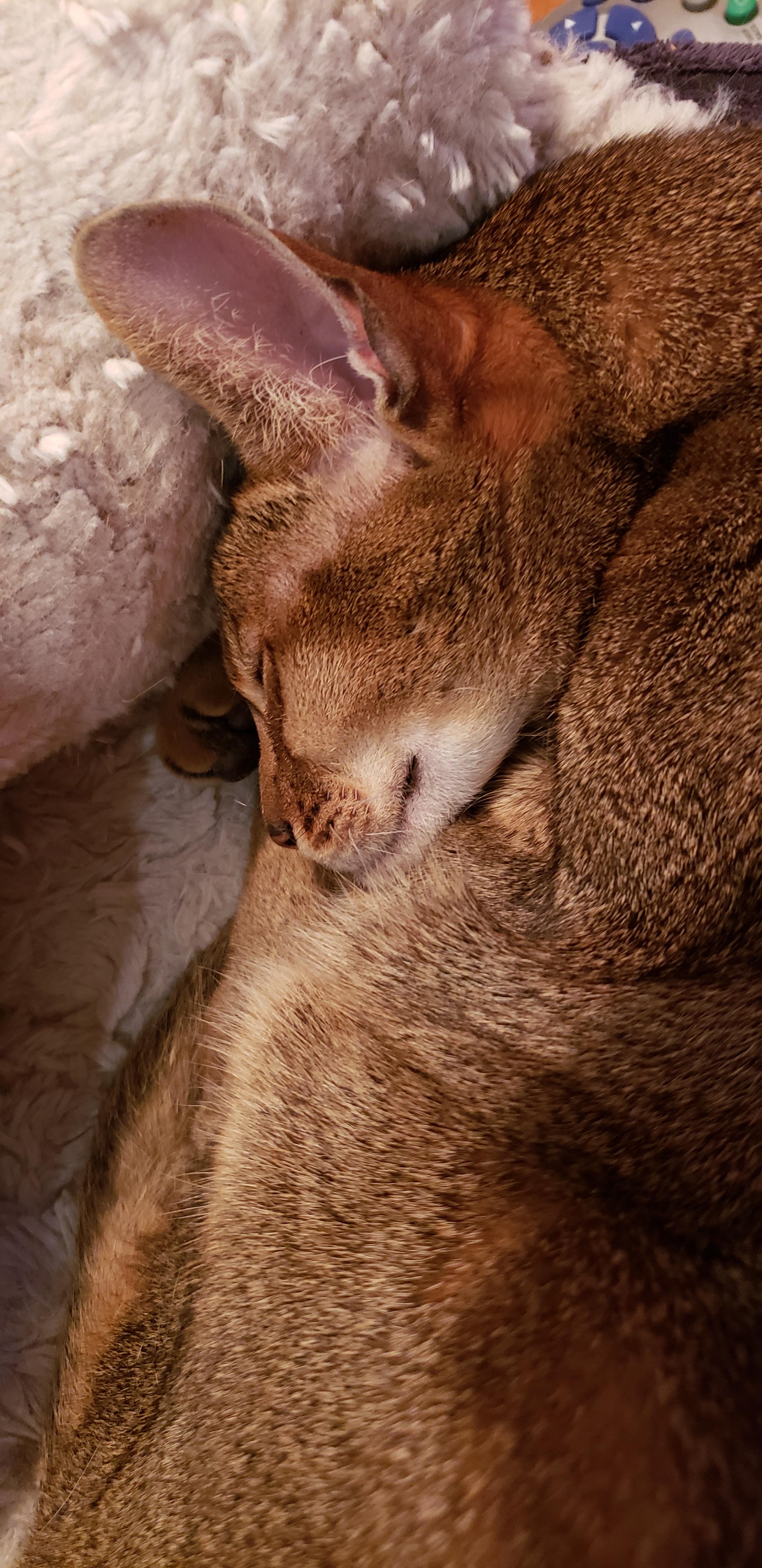 My handsome man | Scrolller