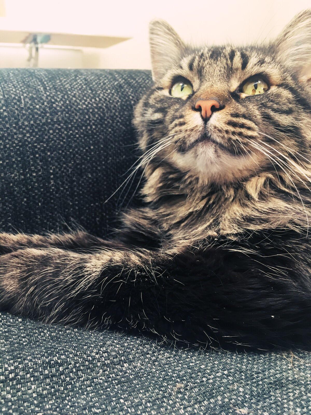 My handsome old man | Scrolller
