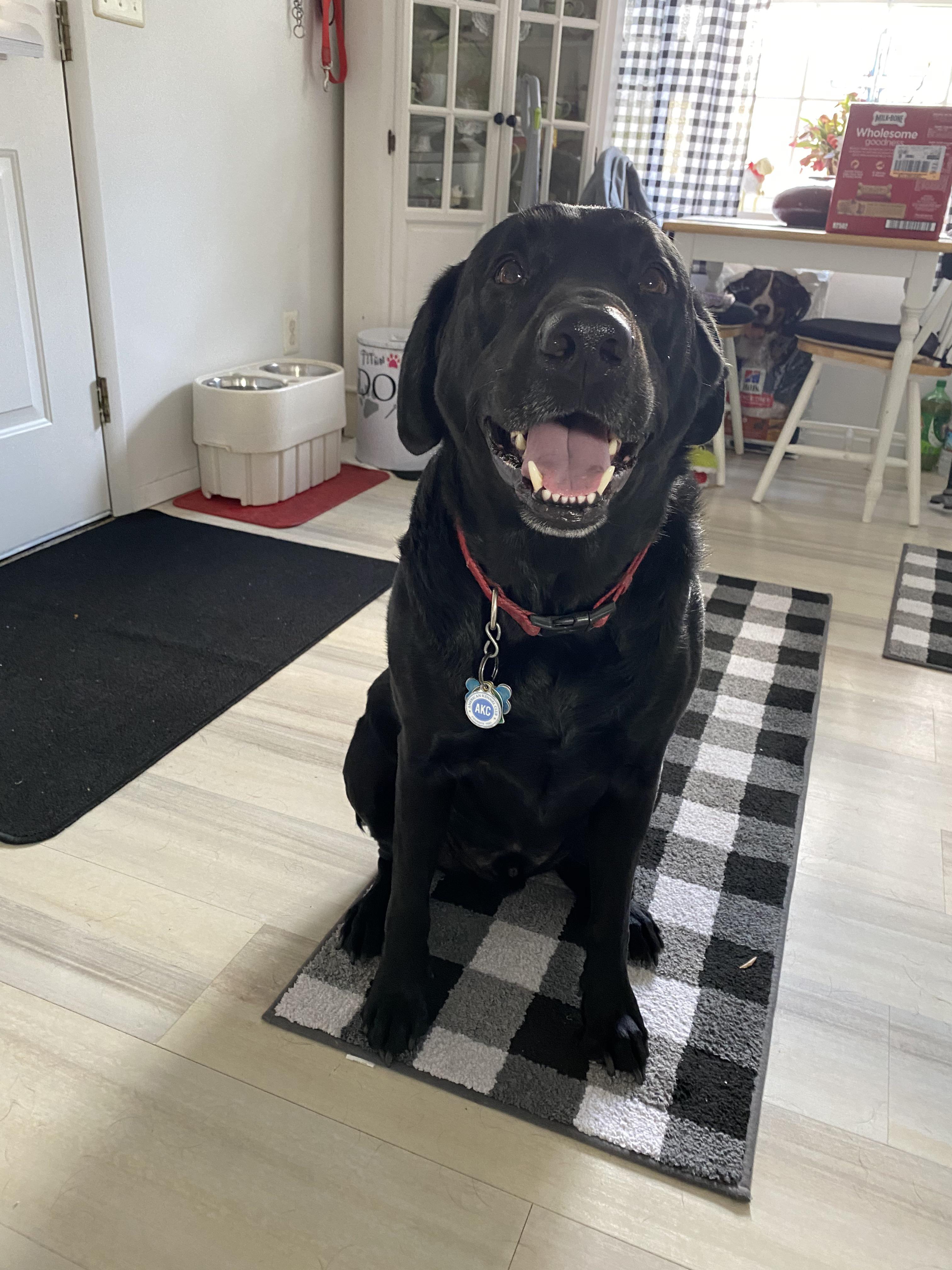 My happy boy...always smiling :) | Scrolller