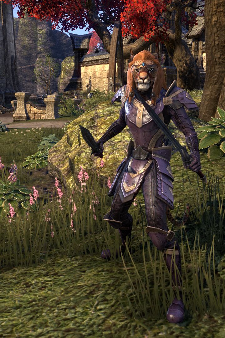 My Khajiit, J'nassri-Dar, practicing his dual wielding technique in Vulkhel Guard | Scrolller