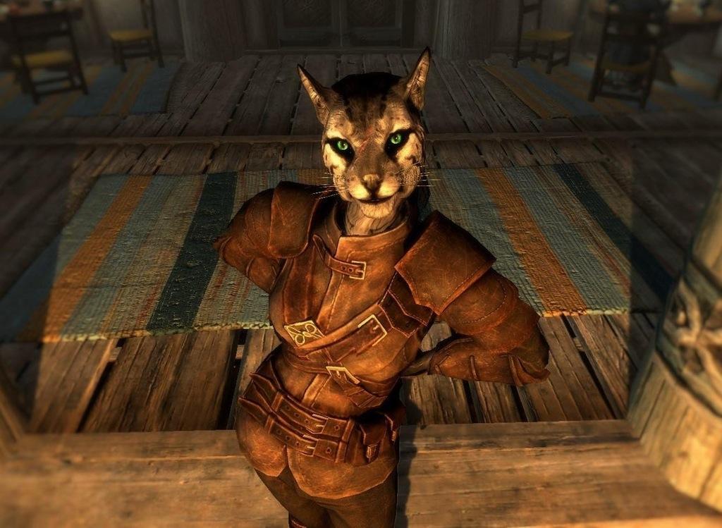 My Khajiit... Once again lol | Scrolller