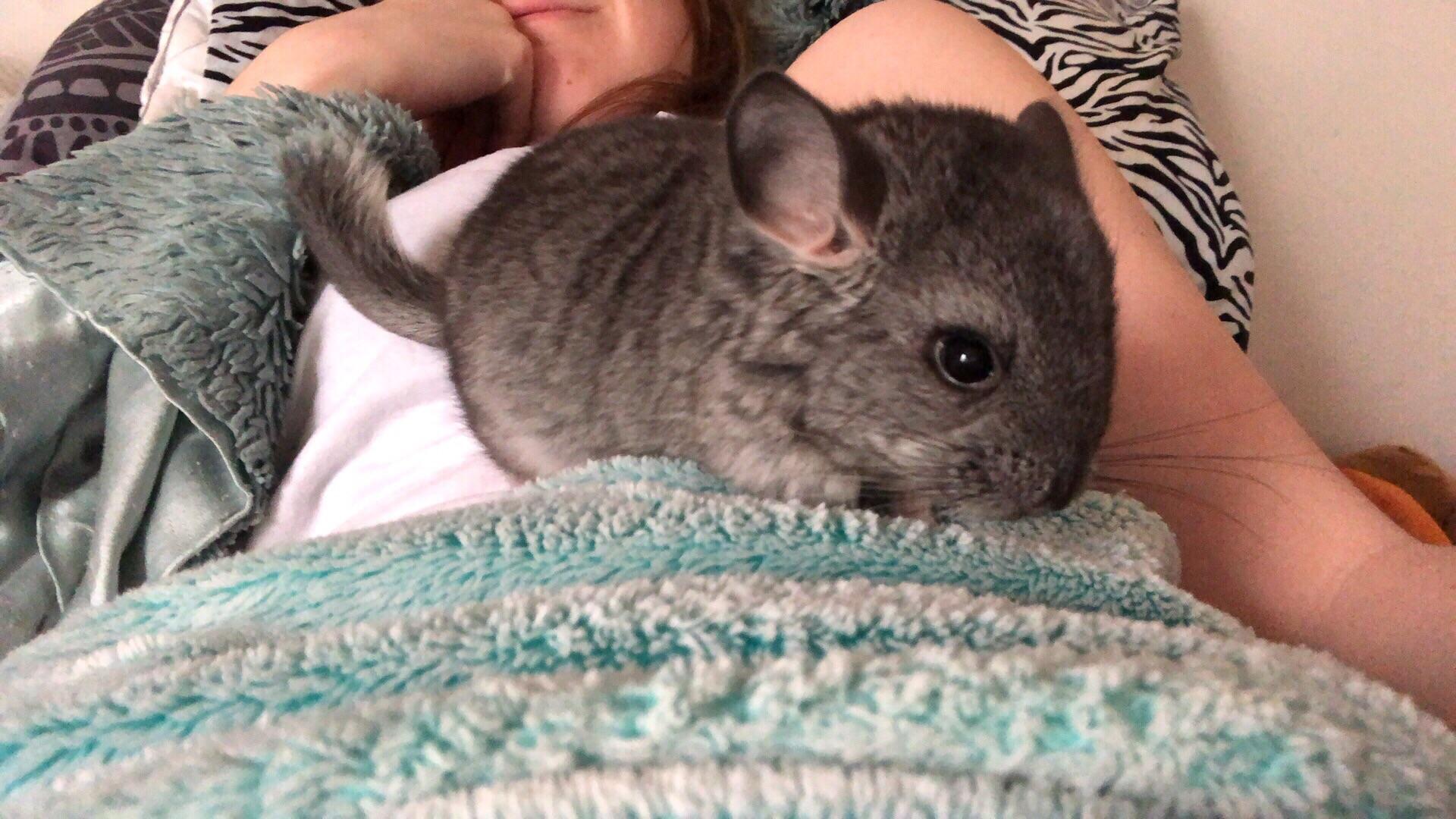 My little bean 💕 | Scrolller