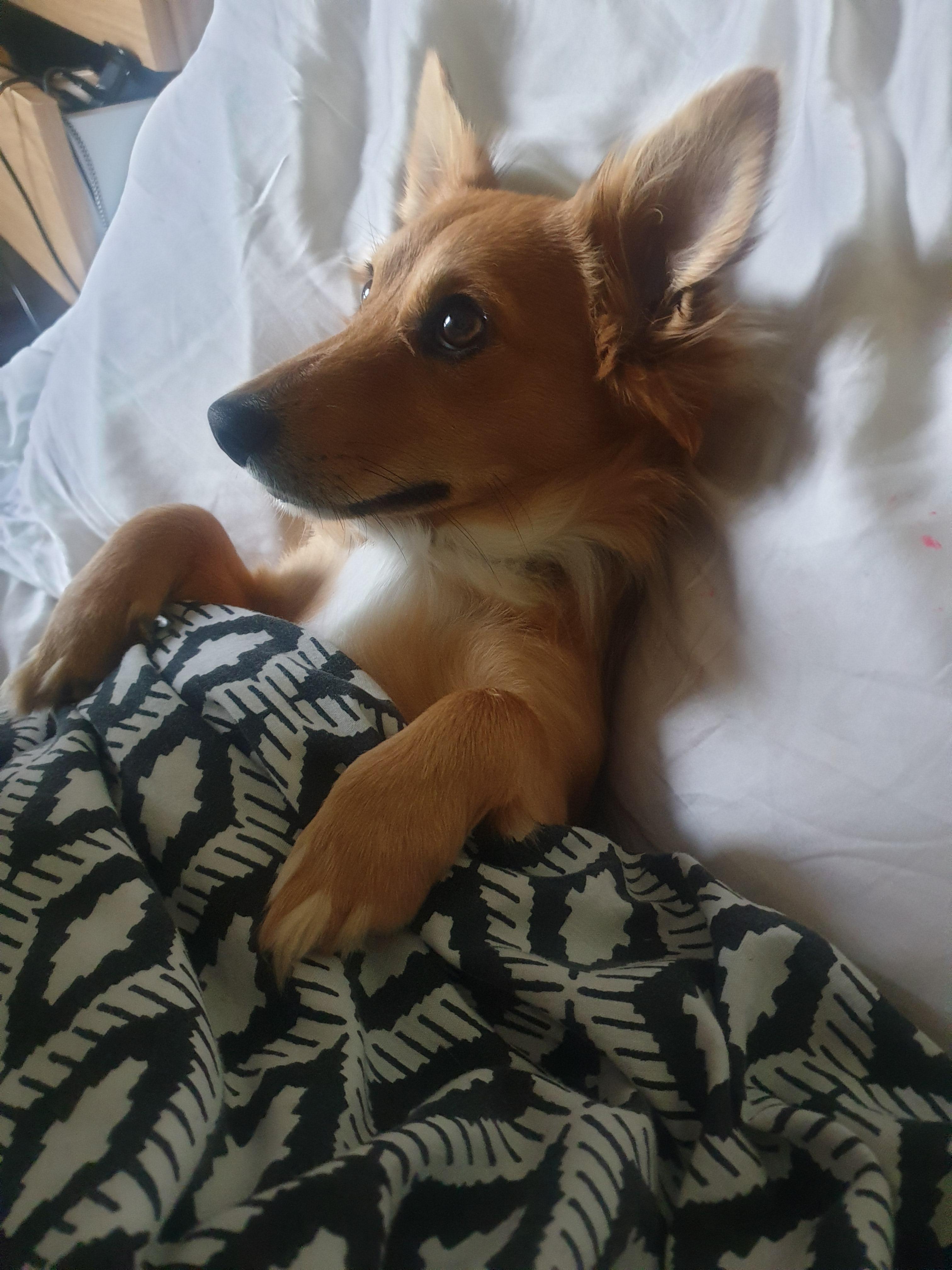 My little buddy | Scrolller