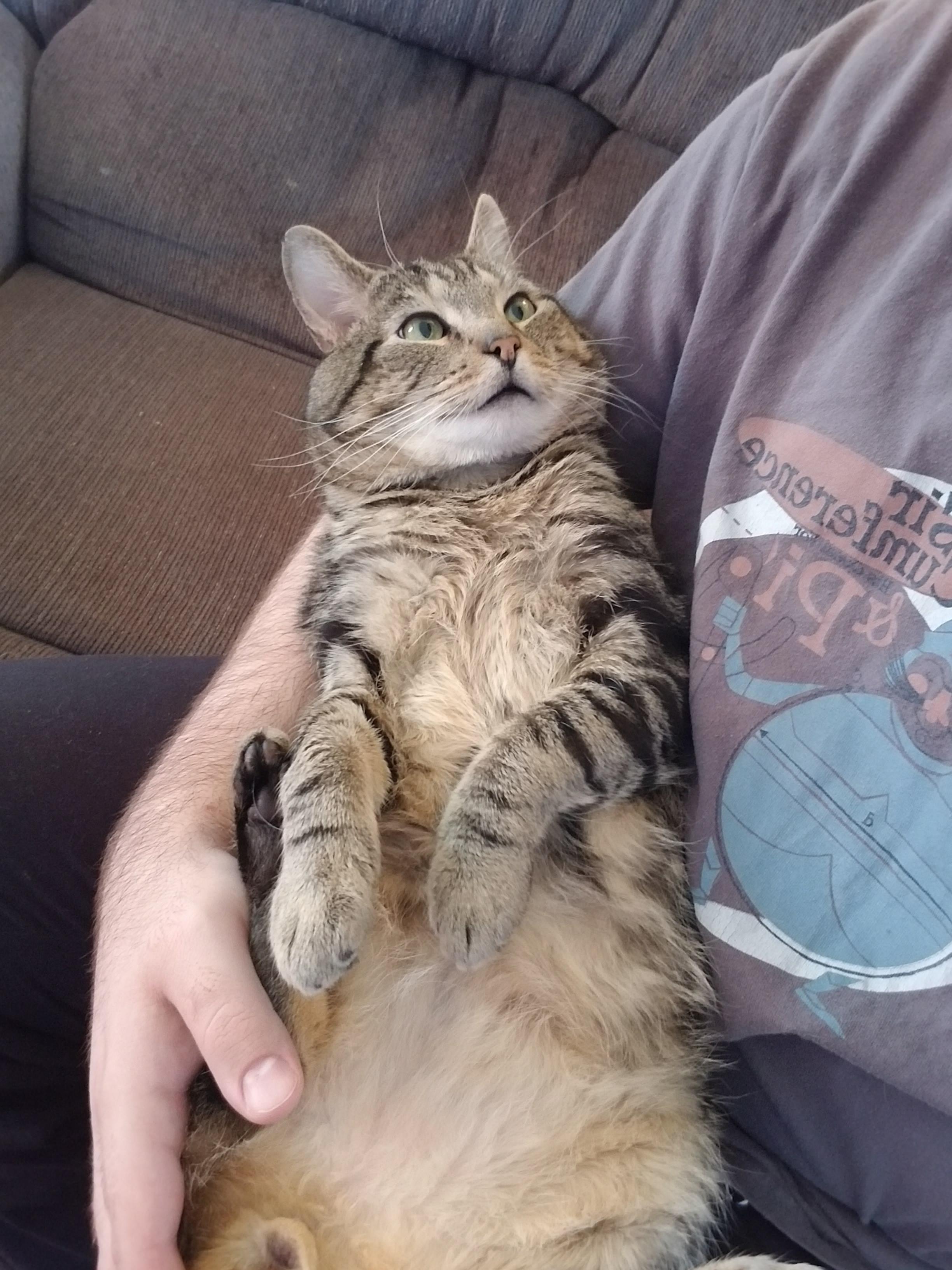 My little derp | Scrolller