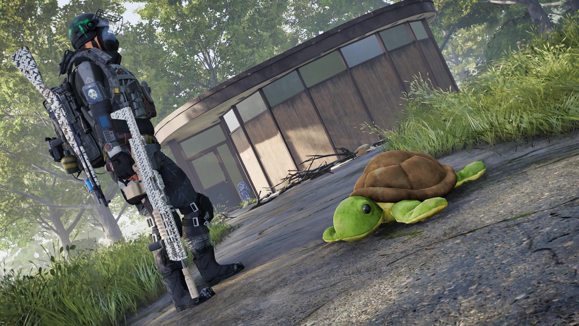 My little fluffy turtle | Scrolller