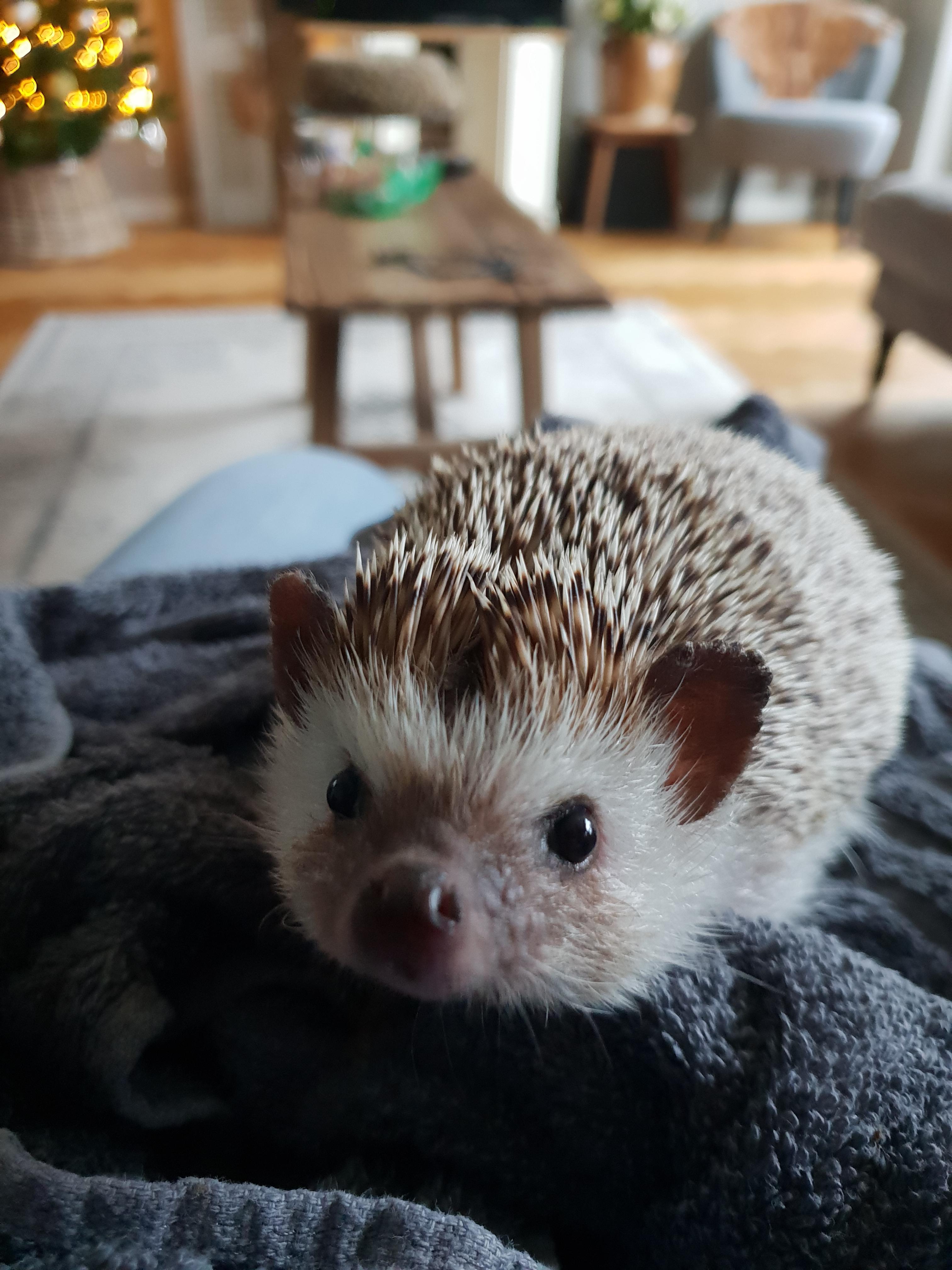 My little nugget 😊 | Scrolller