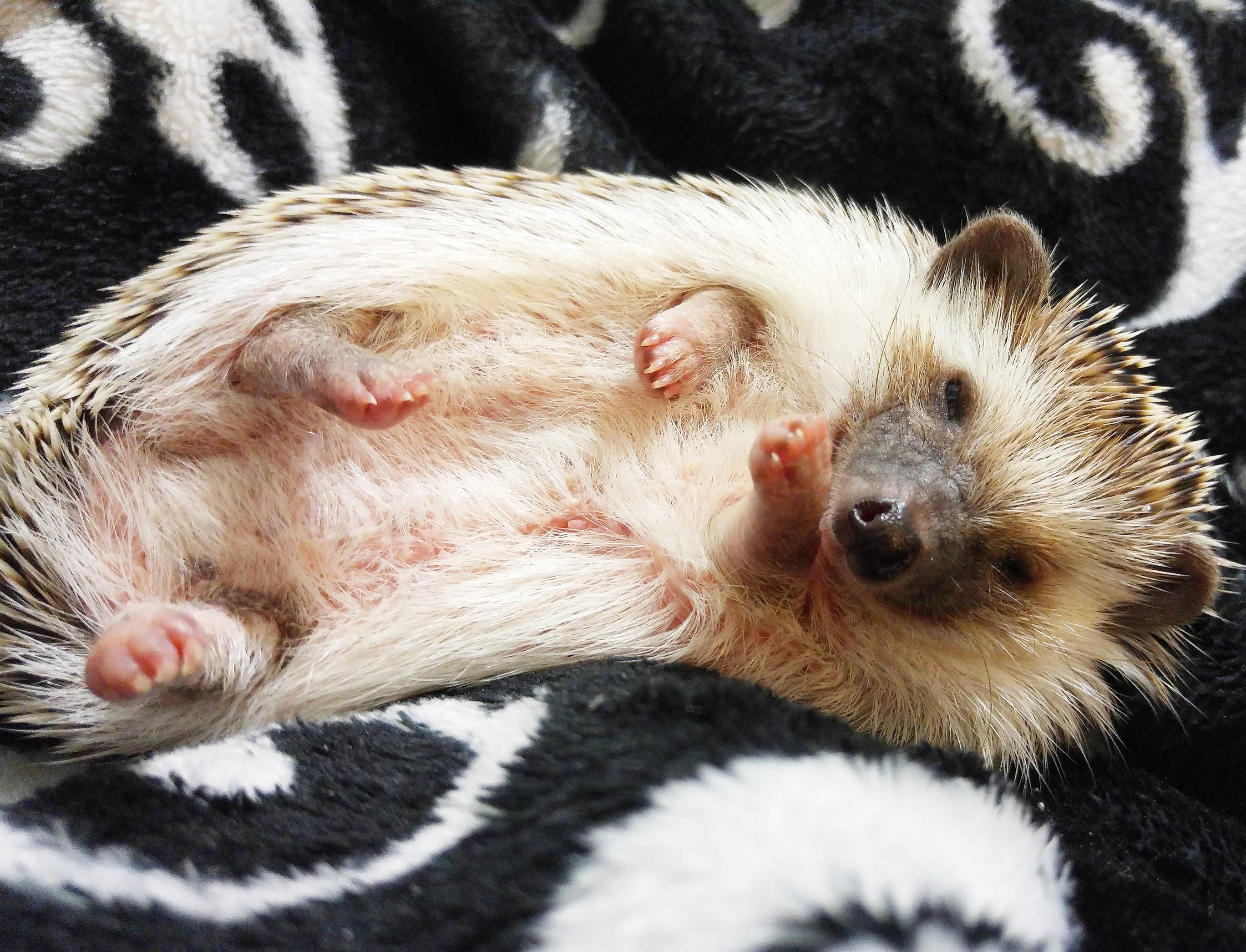 My little supermodel lol | Scrolller